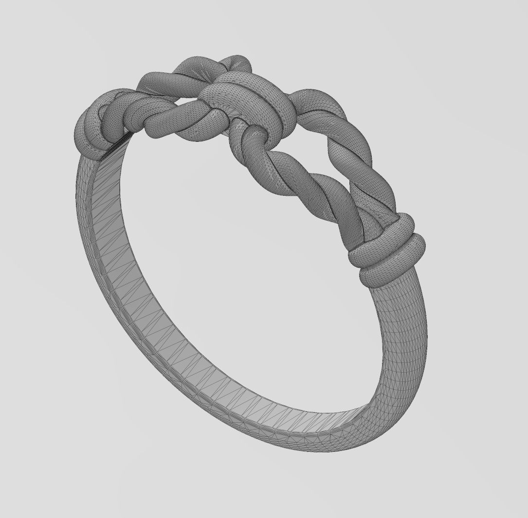 Braided wire double loop ring US size 5 to 11 3D model 3D printable ...