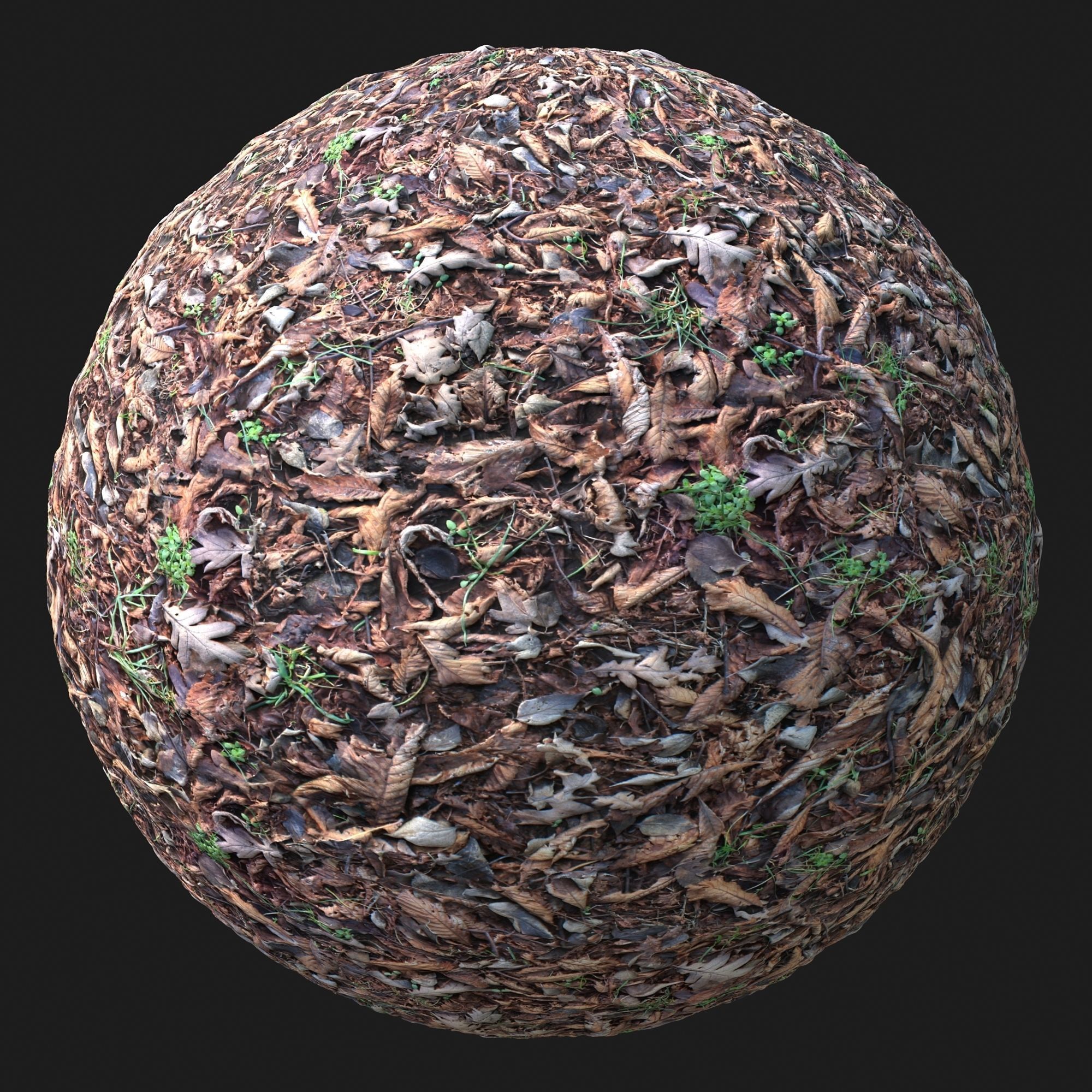 Ground Collection PBR Texture Texture | CGTrader