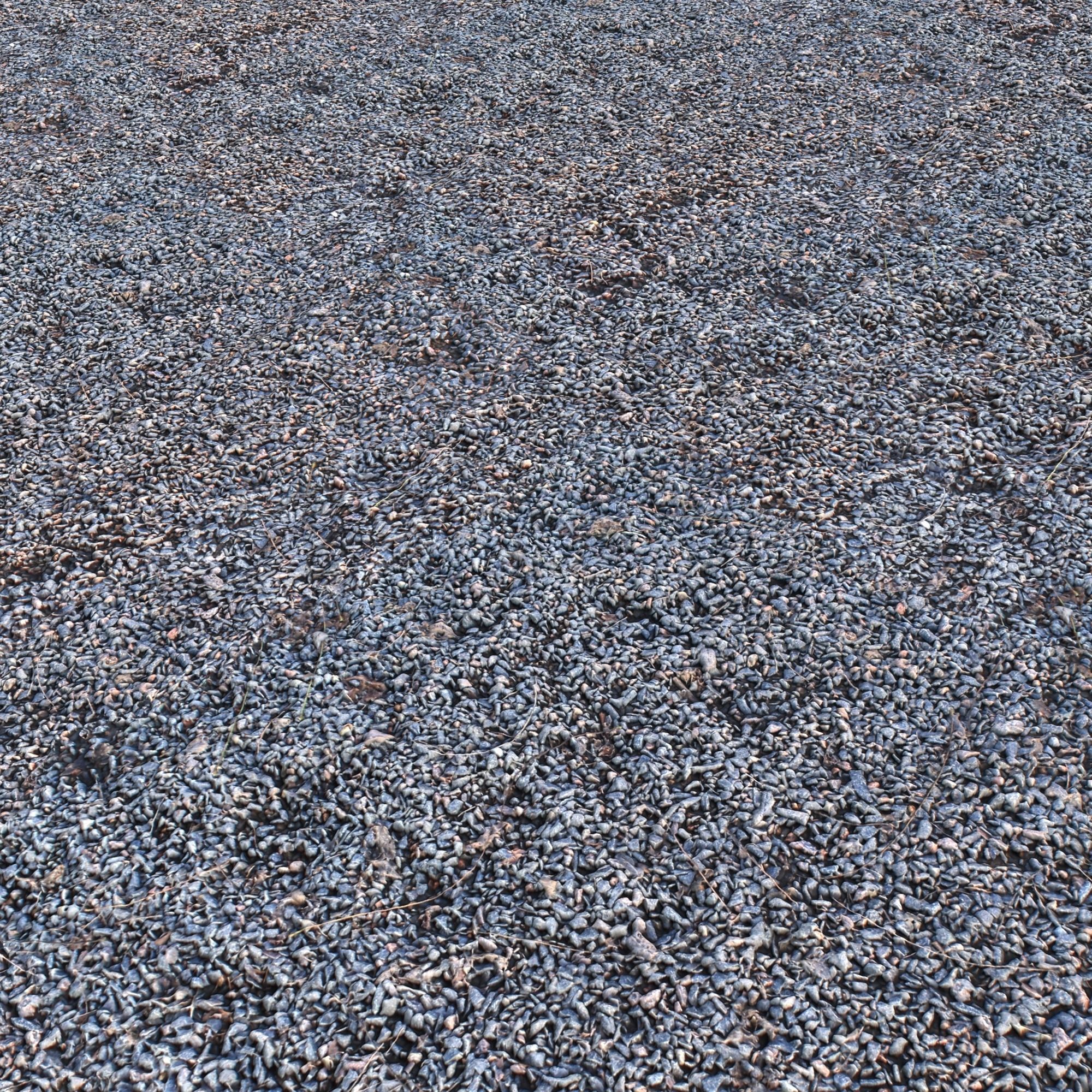 Ground Collection PBR Texture Texture | CGTrader
