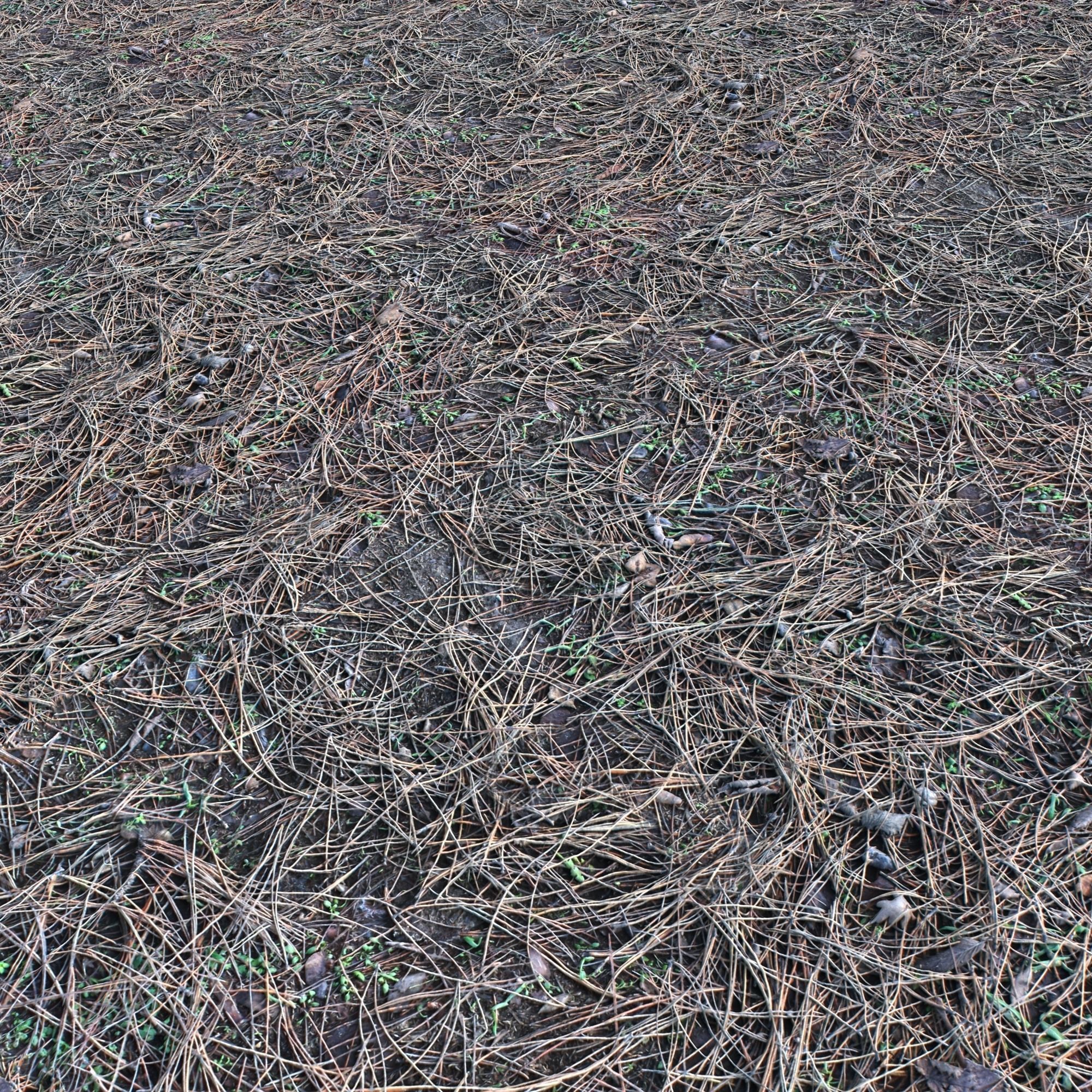 Ground Collection PBR Texture Texture | CGTrader