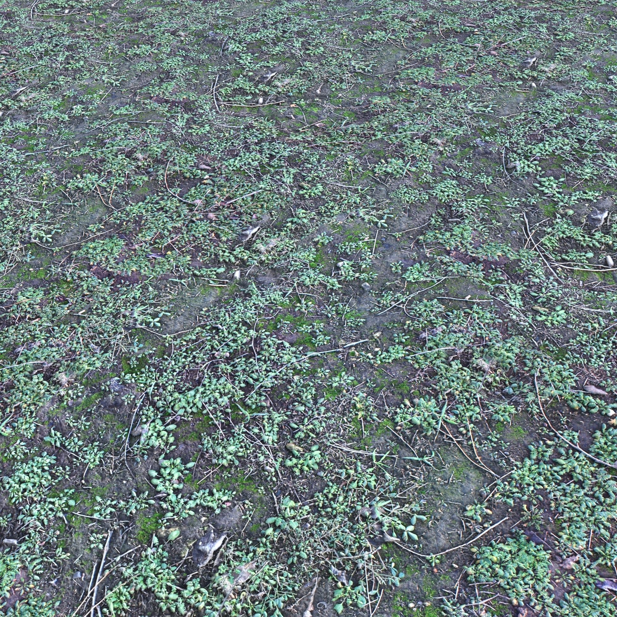 Ground Collection PBR Texture Texture | CGTrader