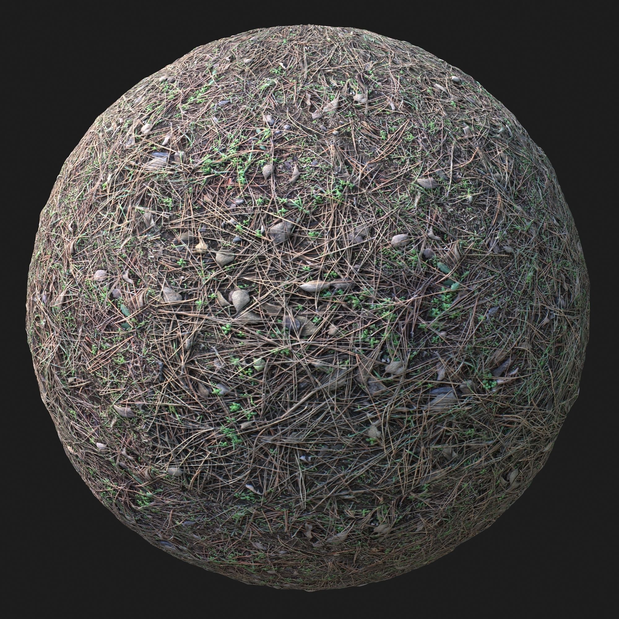 Ground Collection PBR Texture Texture | CGTrader