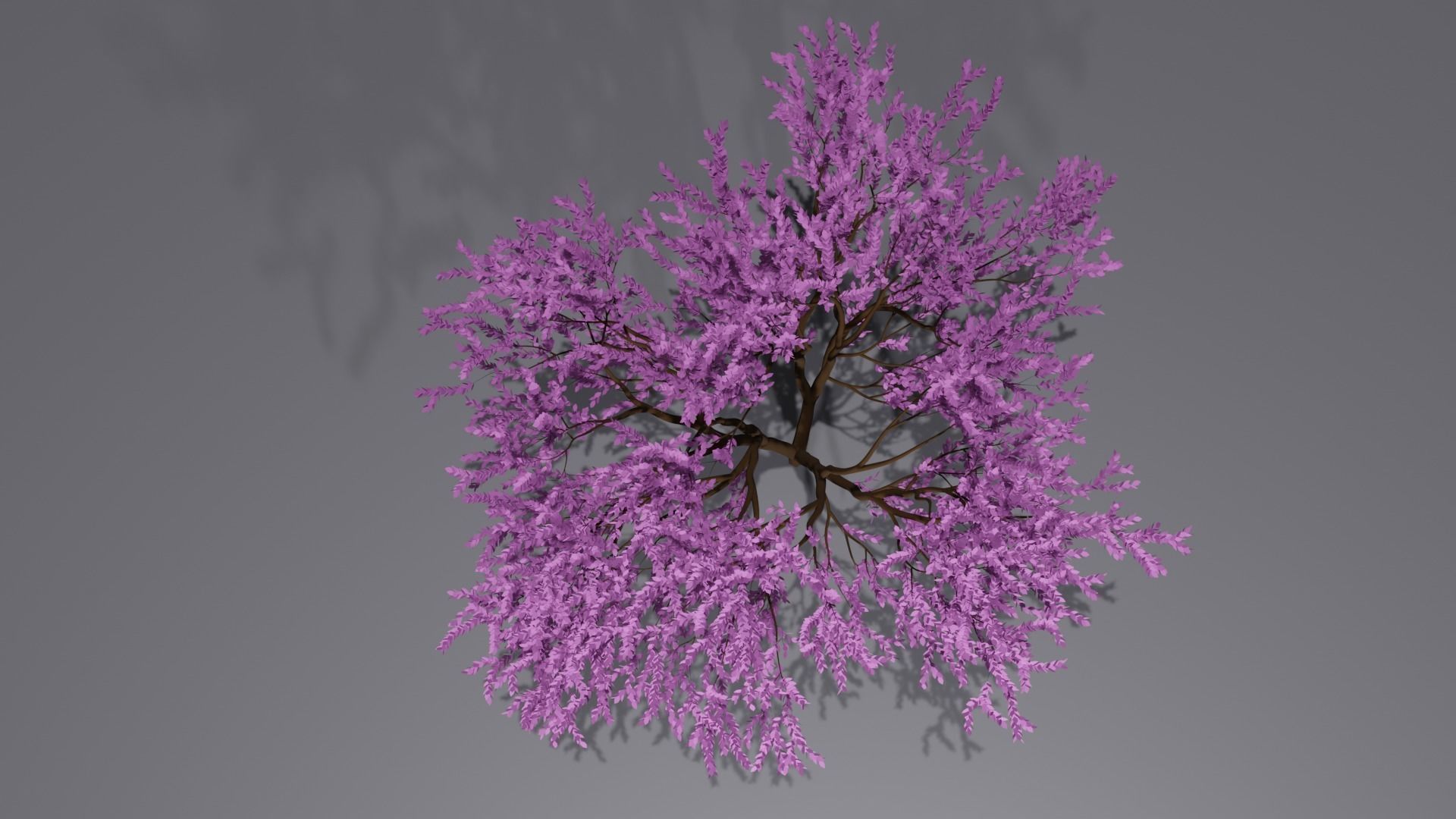Pink Tree 3D model | CGTrader