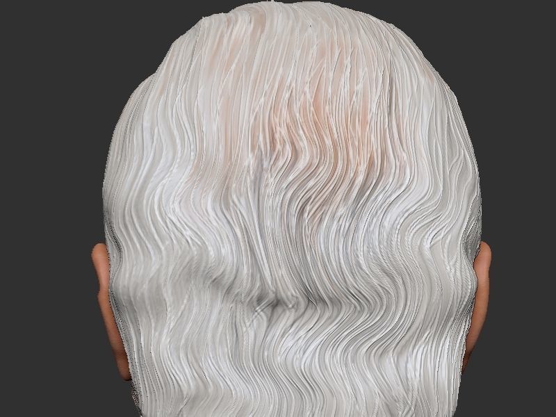 Narendra Modi Bust design with textured 3D model 3D printable | CGTrader