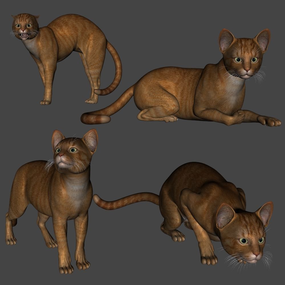 wendys ginger cat 3D model | CGTrader