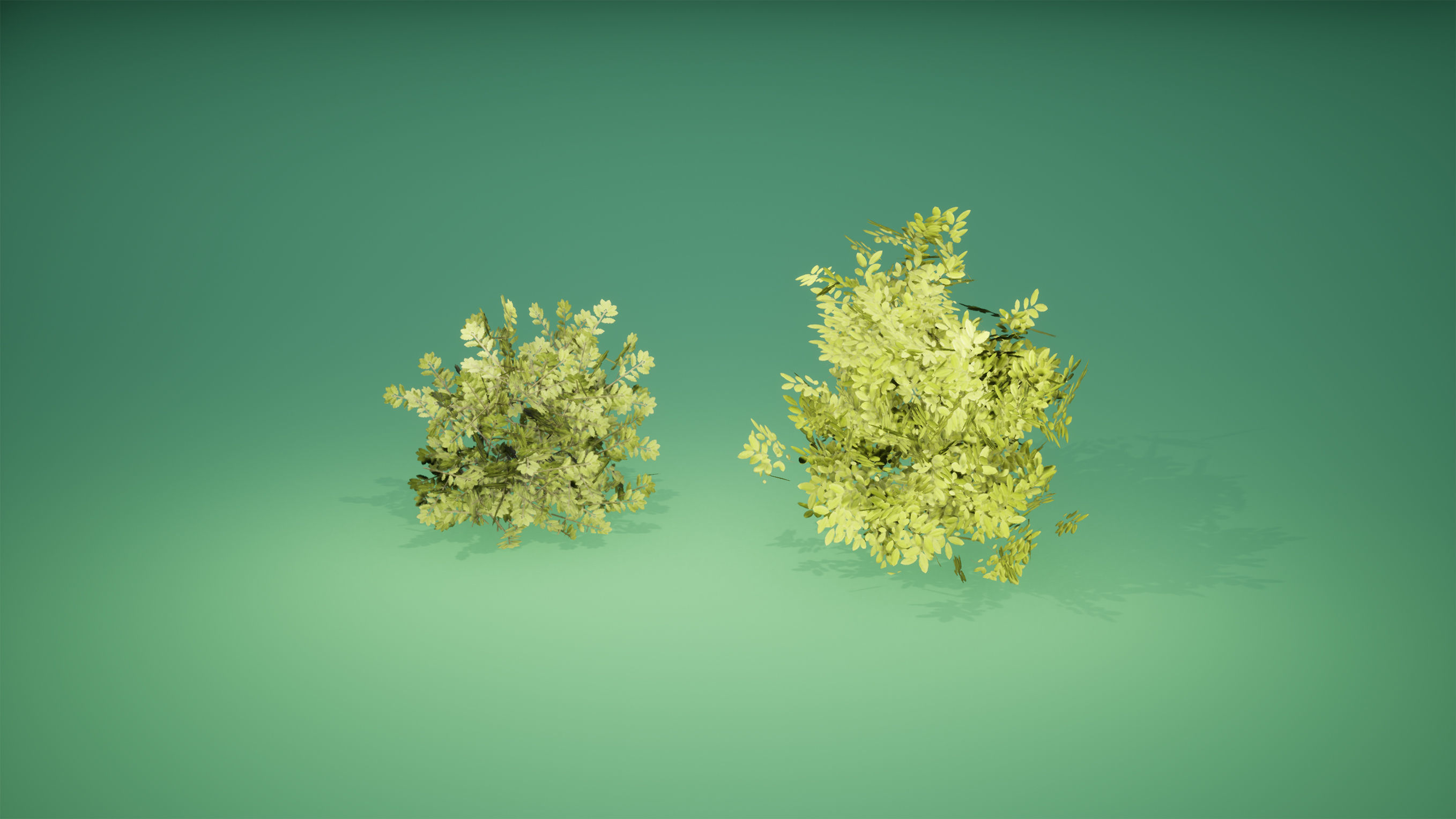 3D model Bushes Game Ready plant VR / AR / low-poly | CGTrader