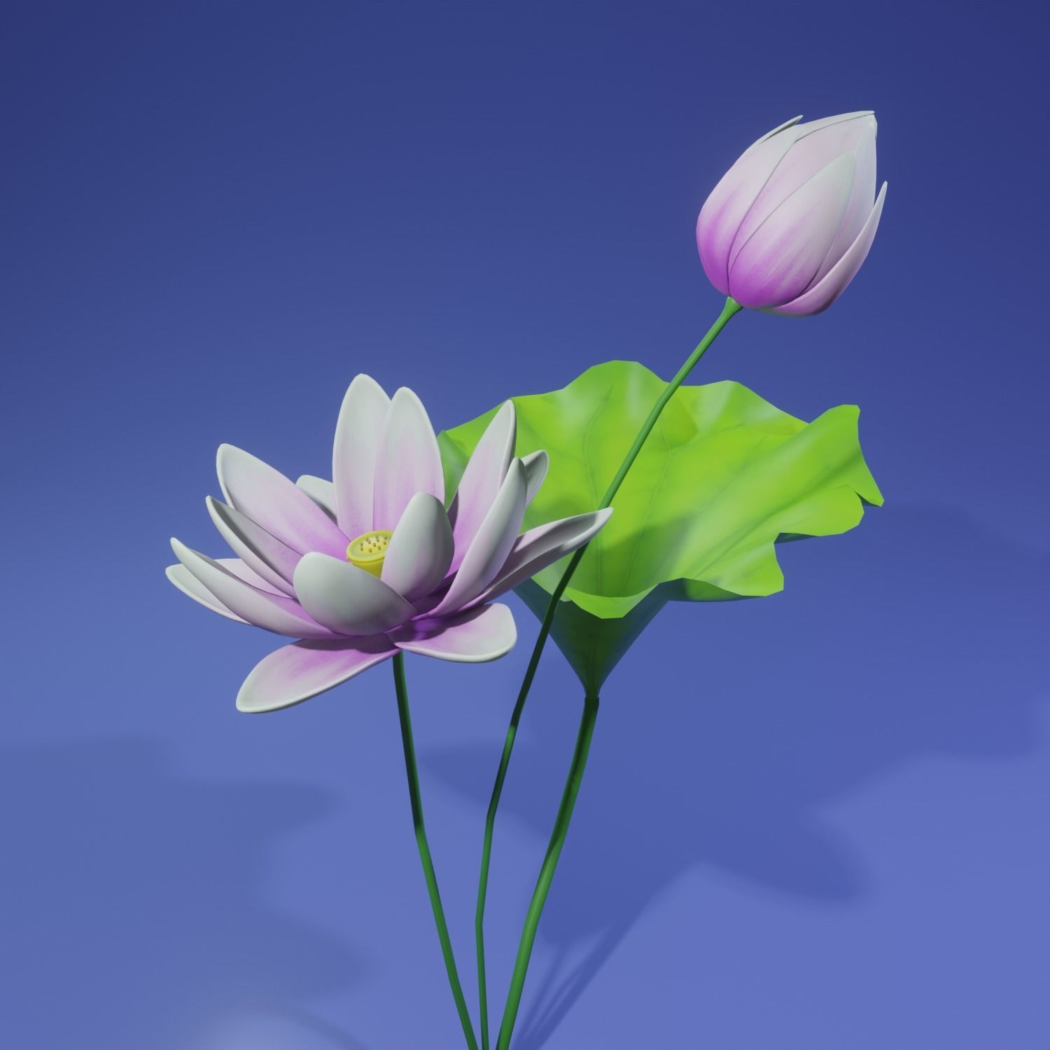 Lotus 3D model | CGTrader