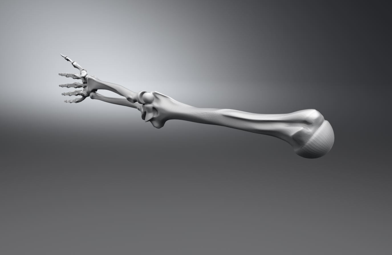 Human Hand Realistic Articulated 3D model 3D printable | CGTrader