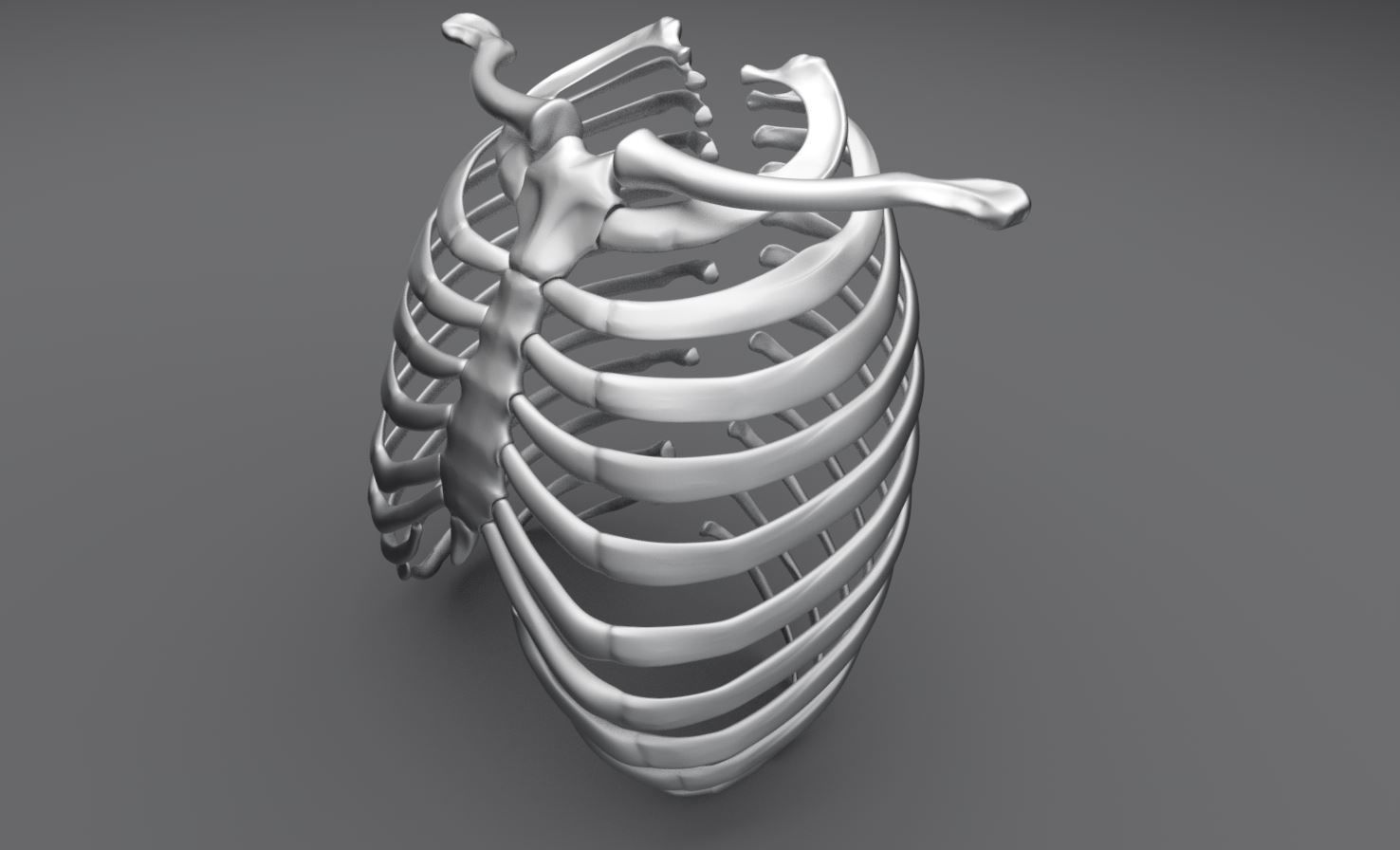 Human Rib Realistic Articulated 3D model 3D printable | CGTrader
