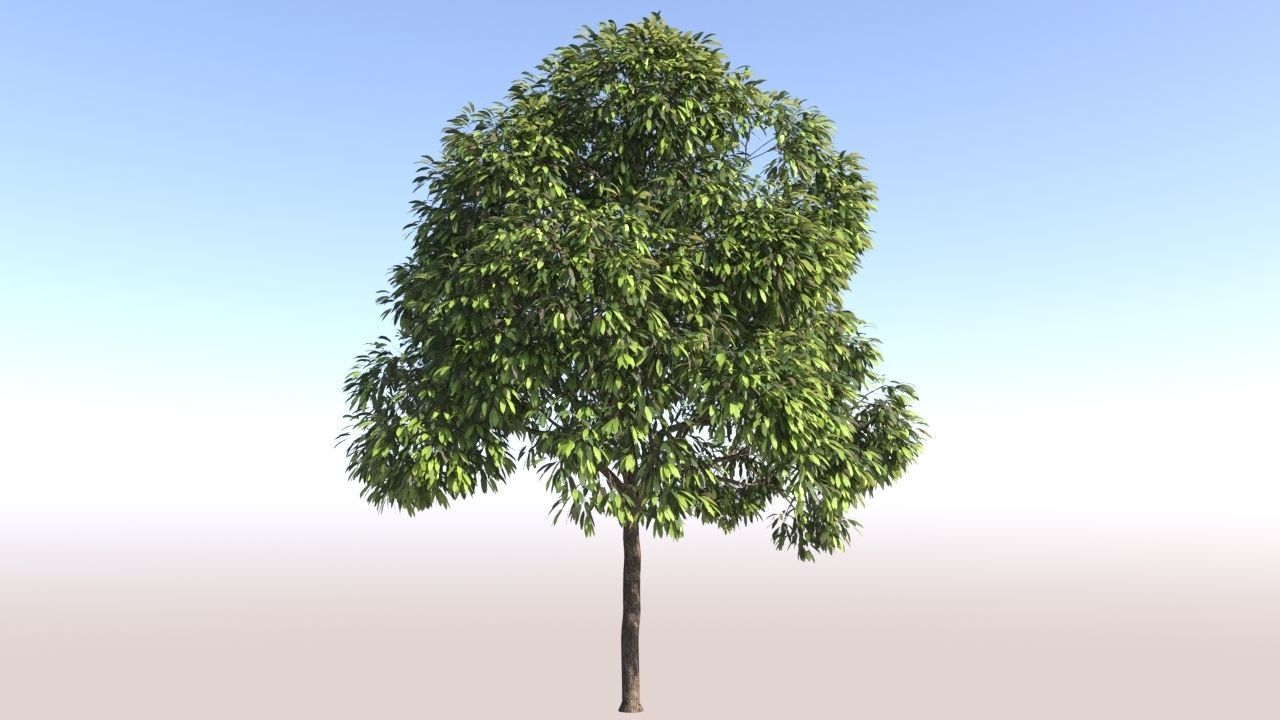 Mango Tree Growfx with Animation 100 frame Loop 3D model animated ...