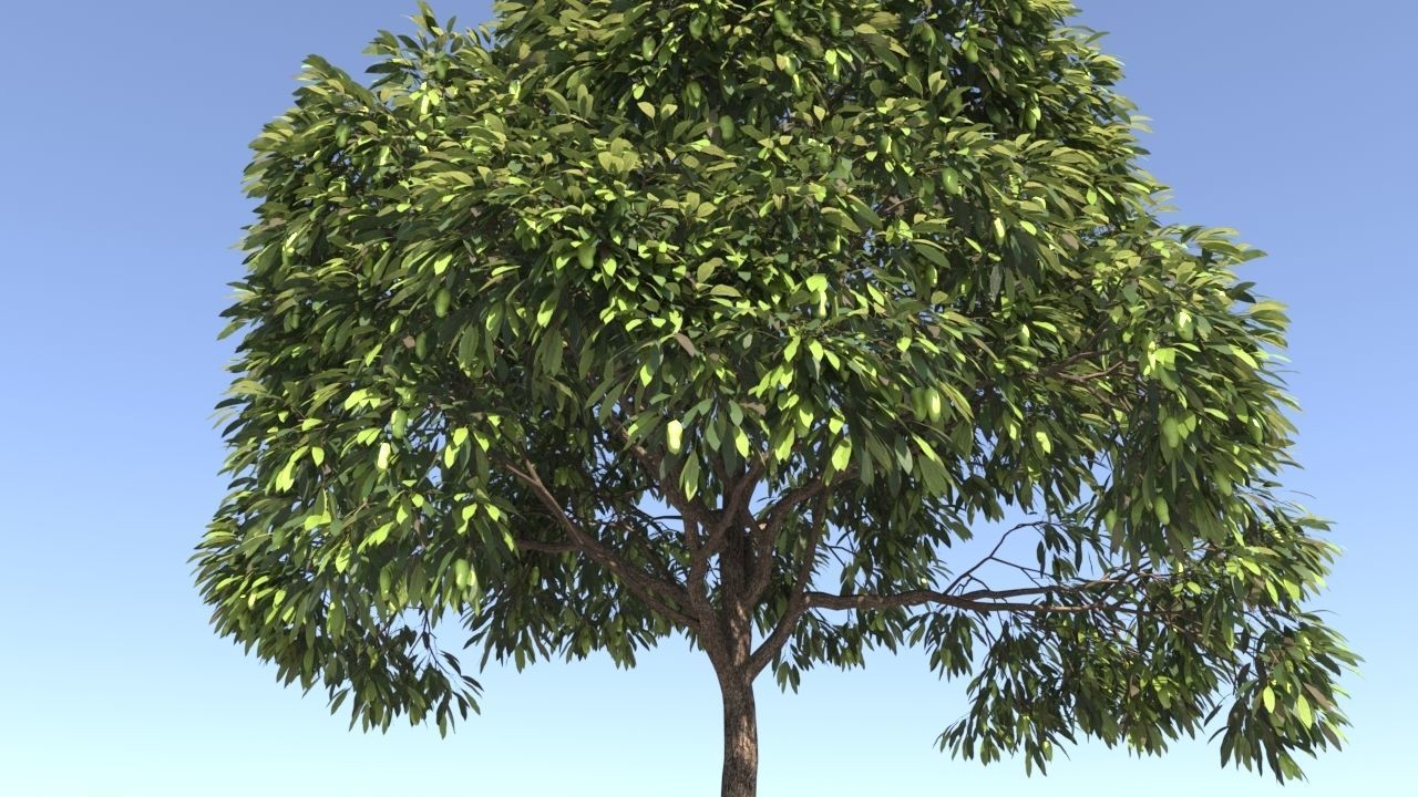 Mango Tree Growfx with Animation 100 frame Loop 3D model animated ...