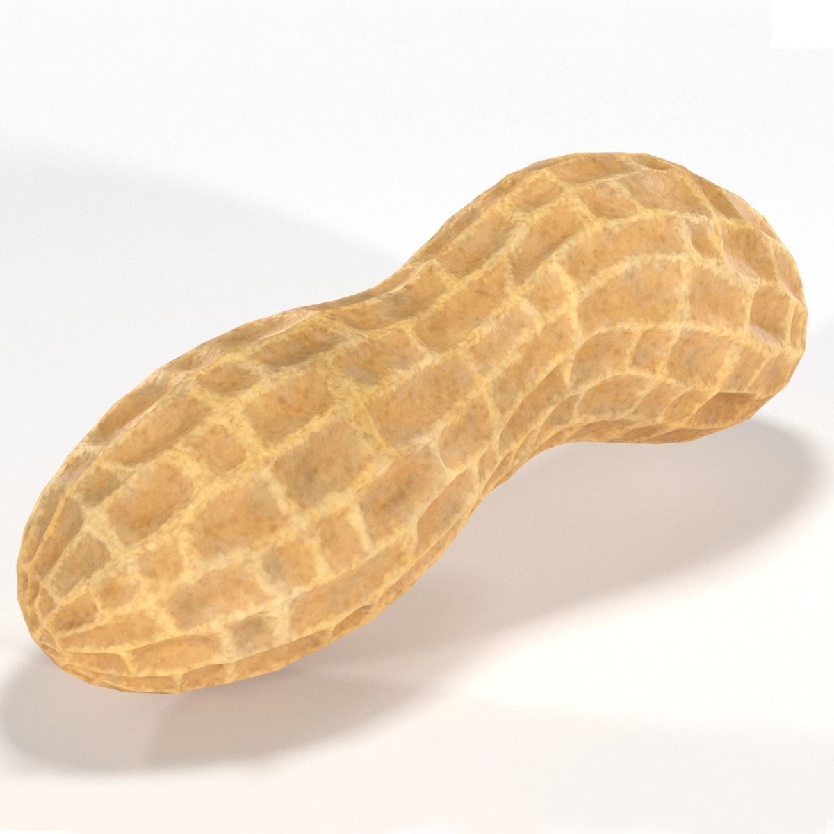 Peanut 3D 3D model | CGTrader