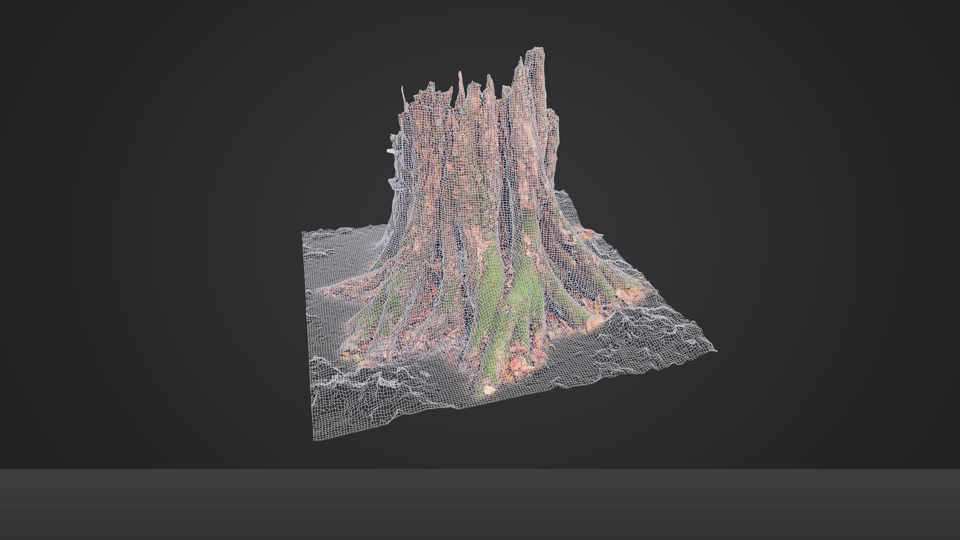 Photorealistic tree root from scan for renders 3D model | CGTrader