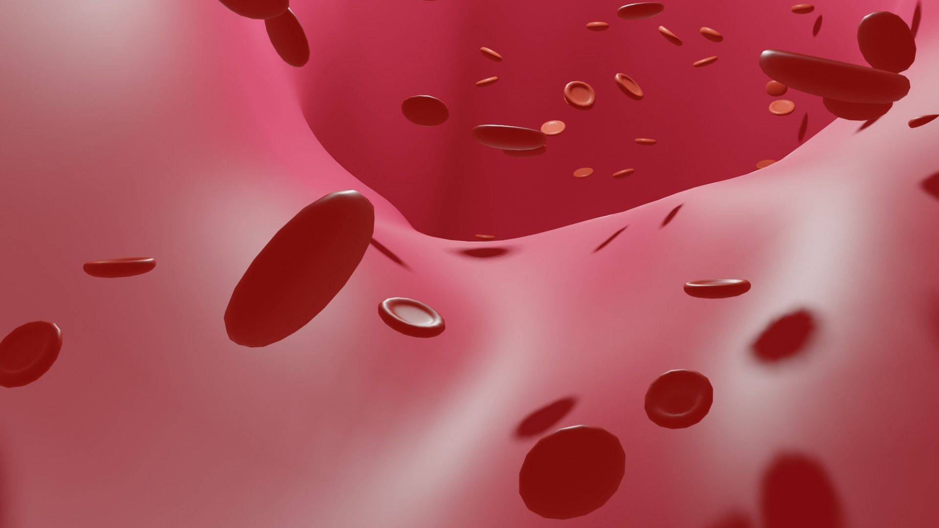 blood cells animated 3D model free 3D model animated | CGTrader
