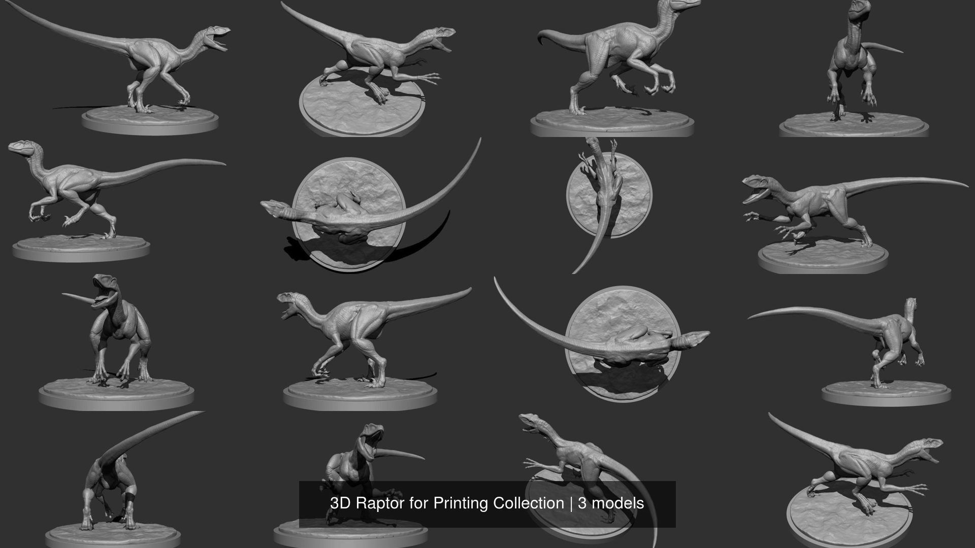 3D Raptor for Printing Collection | CGTrader