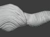 Geoduck shell 3D model 3D printable | CGTrader