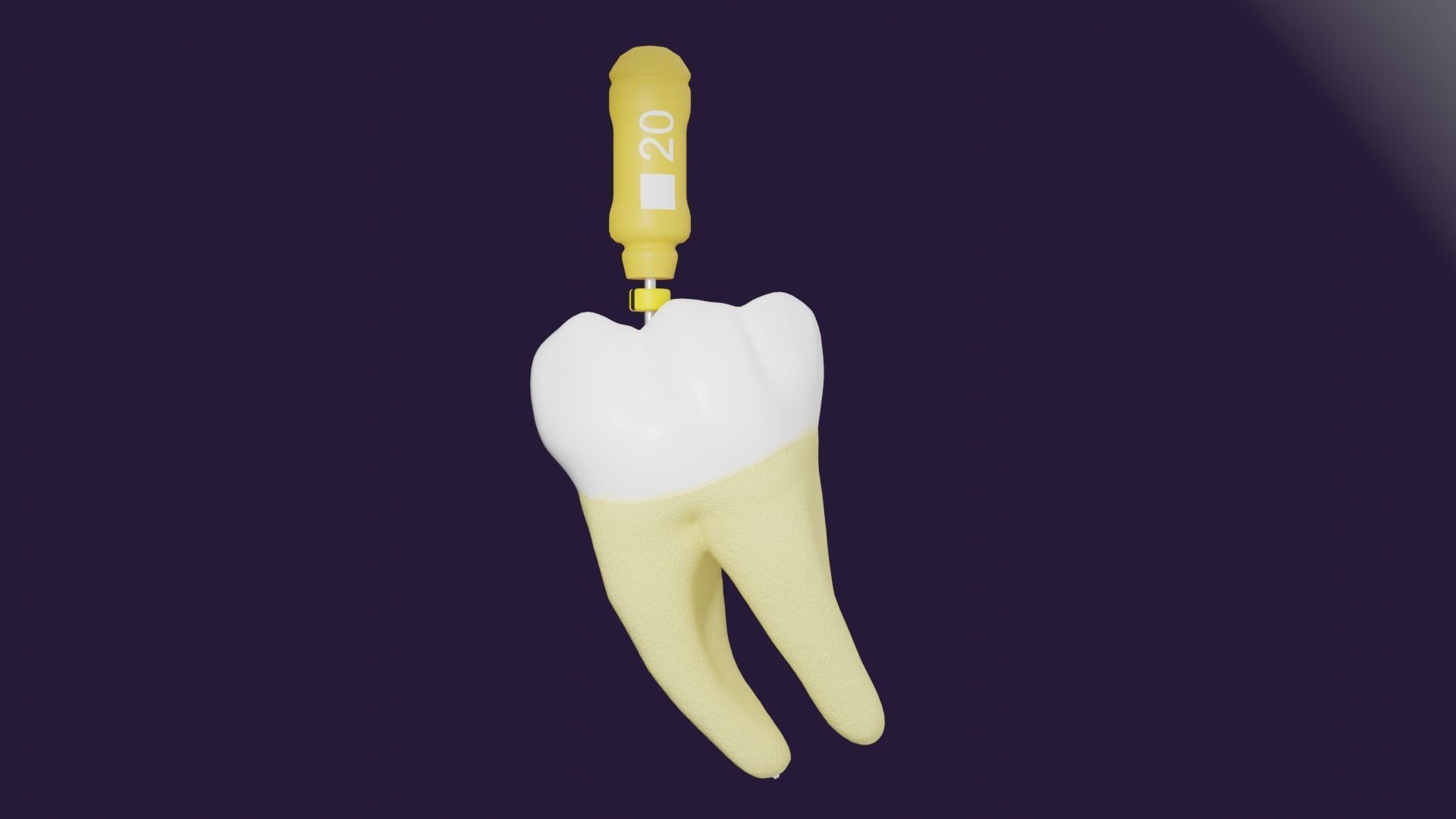 Molar and endodontic file 3D model | CGTrader