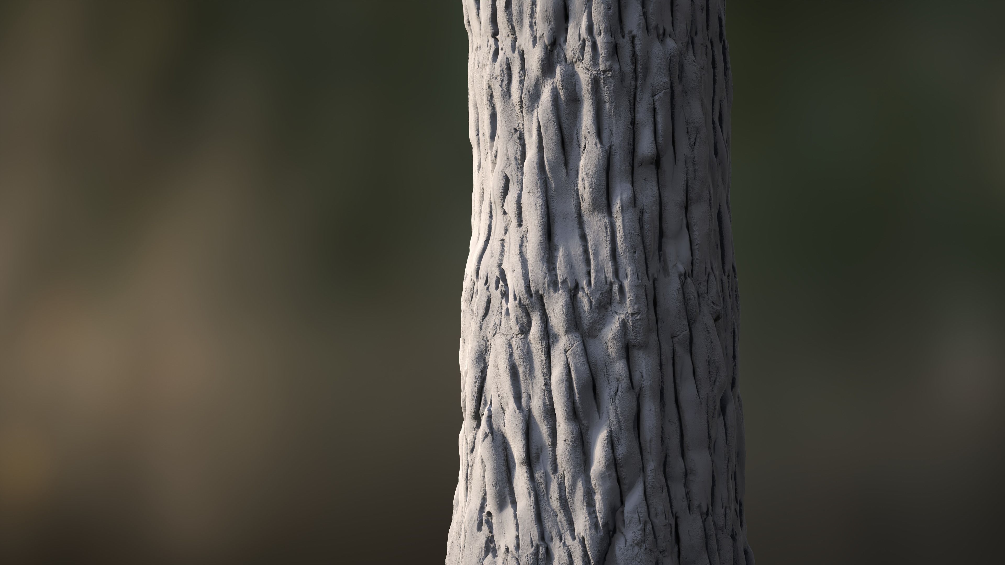 Texture Tree Bark Seamless 03 VR / AR / low-poly | CGTrader