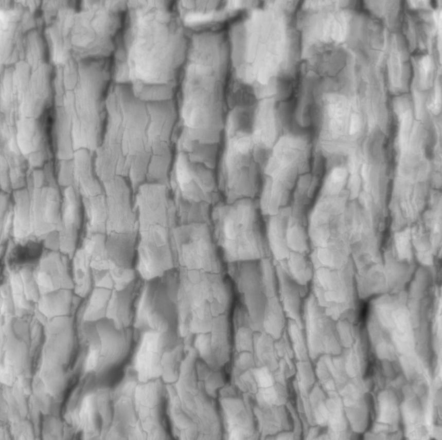 Texture Tree Bark Seamless 01 VR / AR / low-poly | CGTrader
