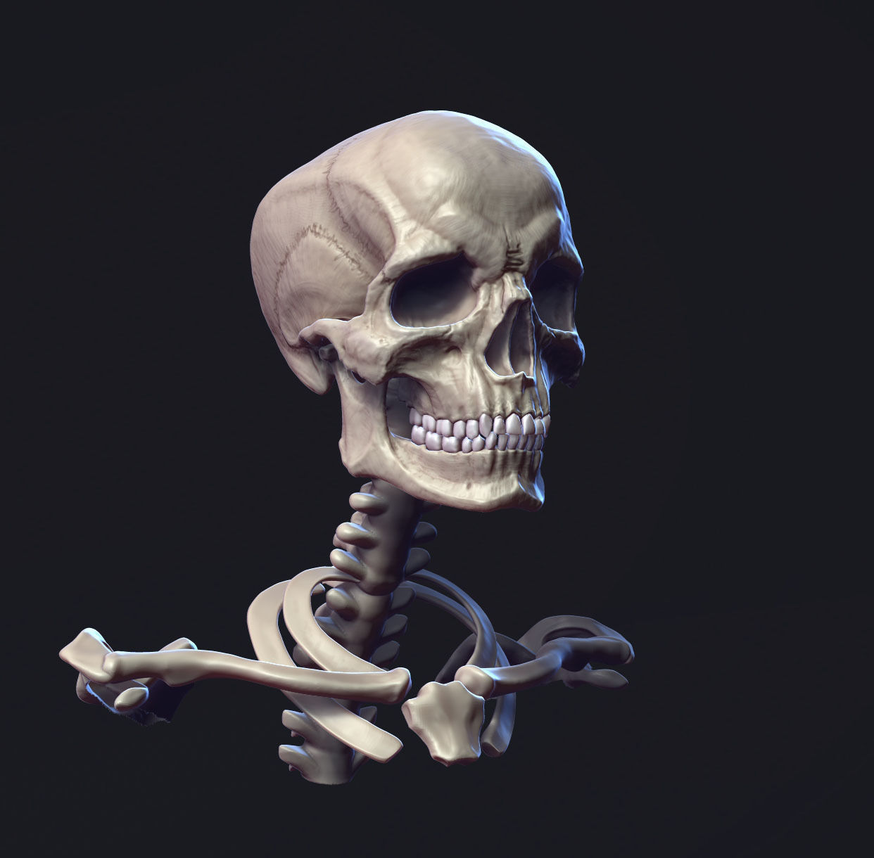 Ecorche Facial anatomy 3D model | CGTrader