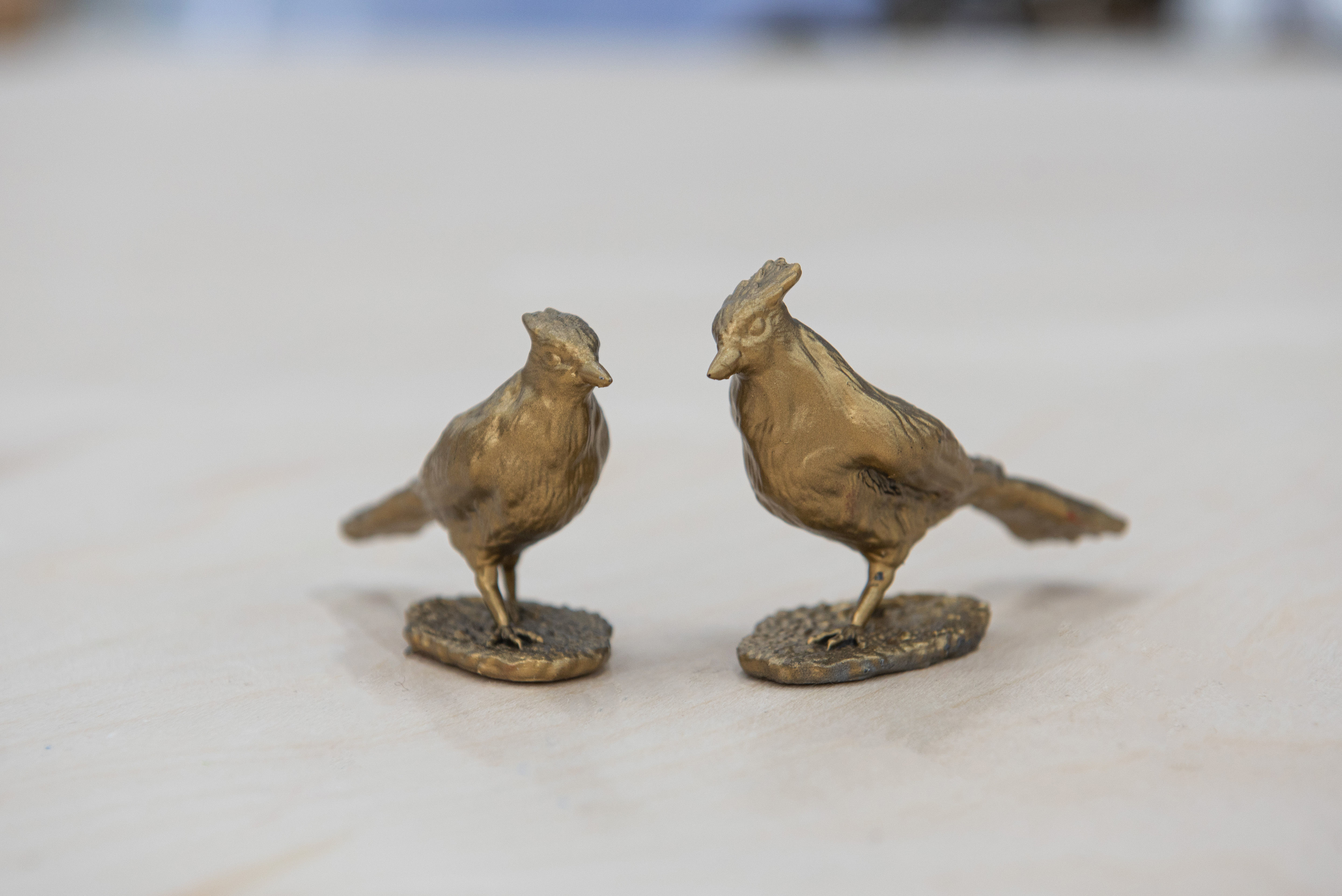 Blue Jay male and female 3D print model 3D model 3D printable | CGTrader