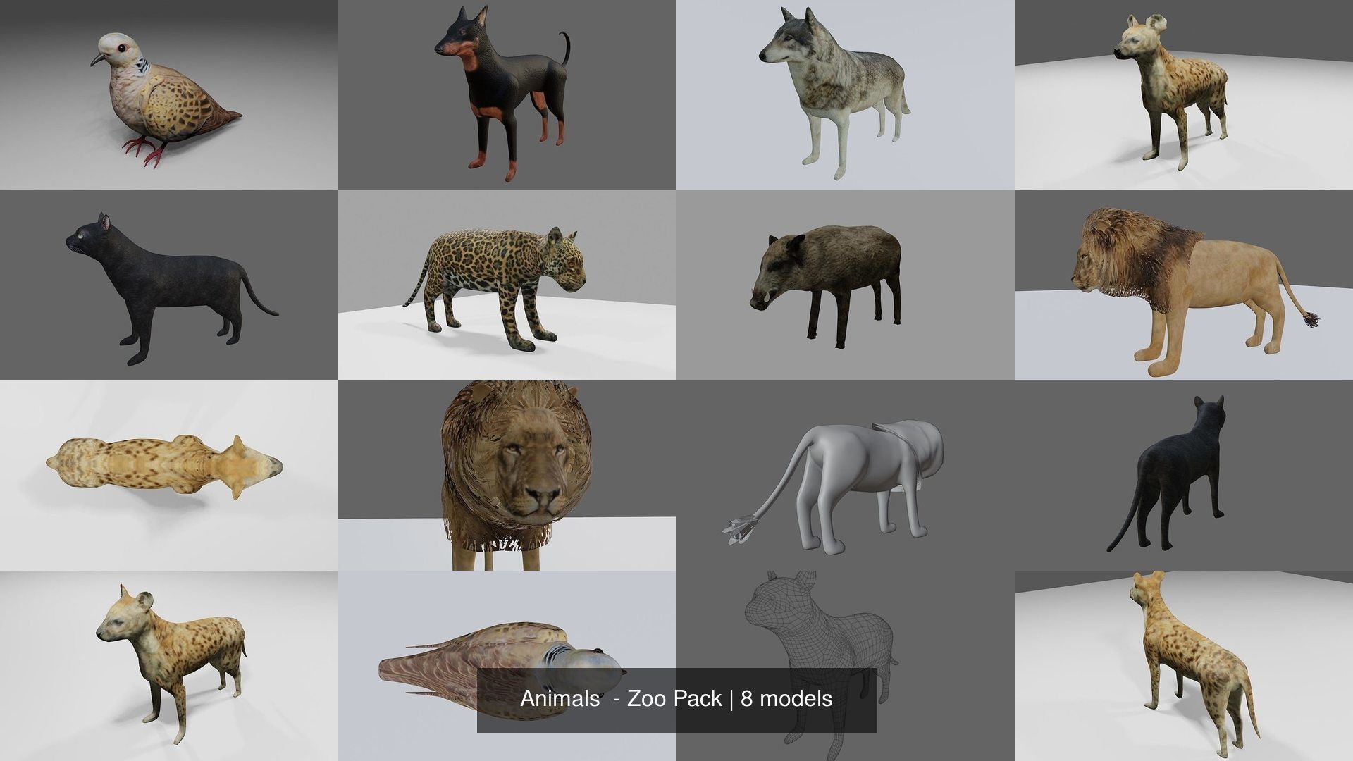 3D Model Collection Animals - Zoo Pack VR / AR / low-poly | CGTrader