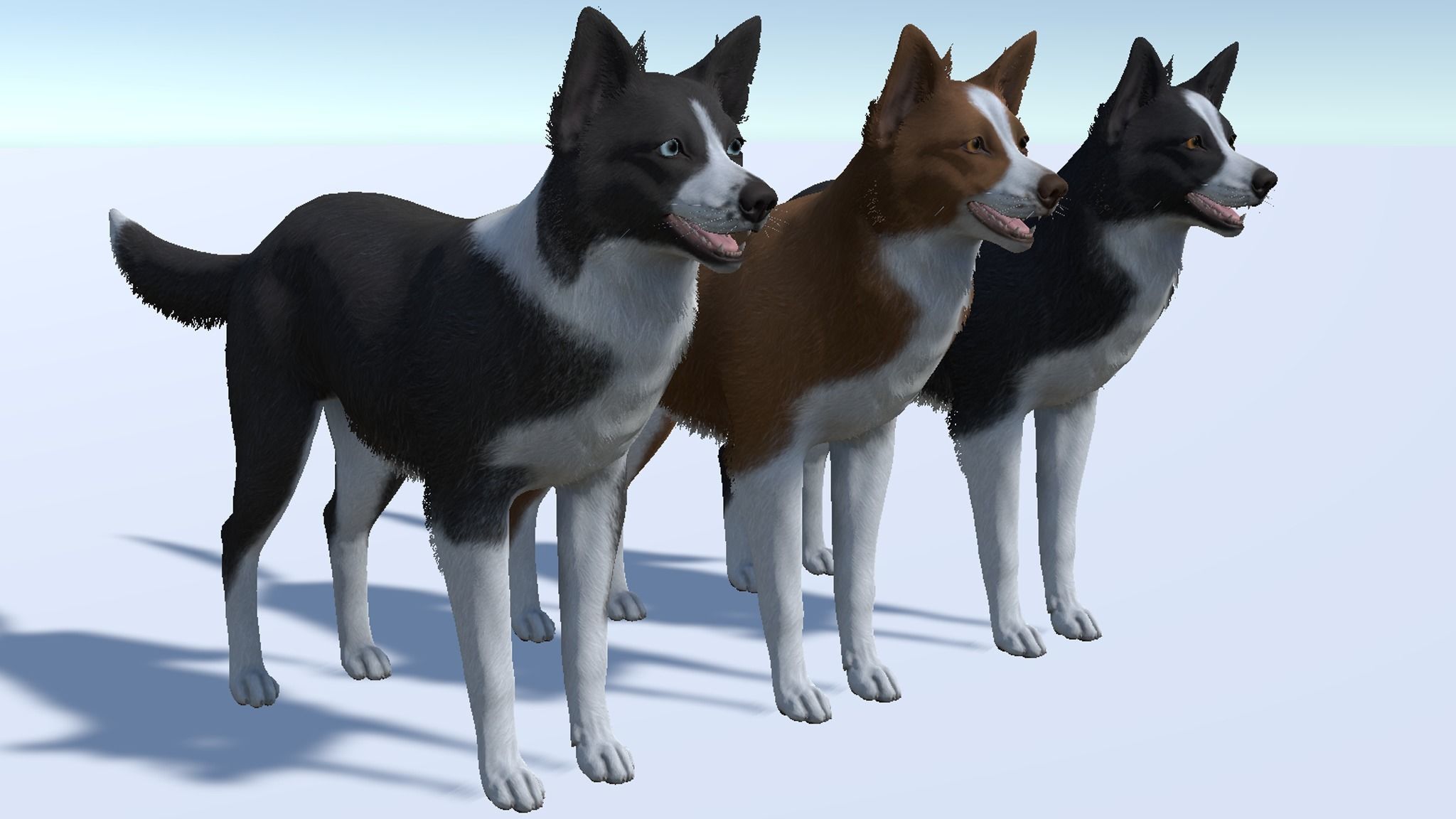 3D model Dog - Border Collie VR / AR / low-poly rigged animated | CGTrader