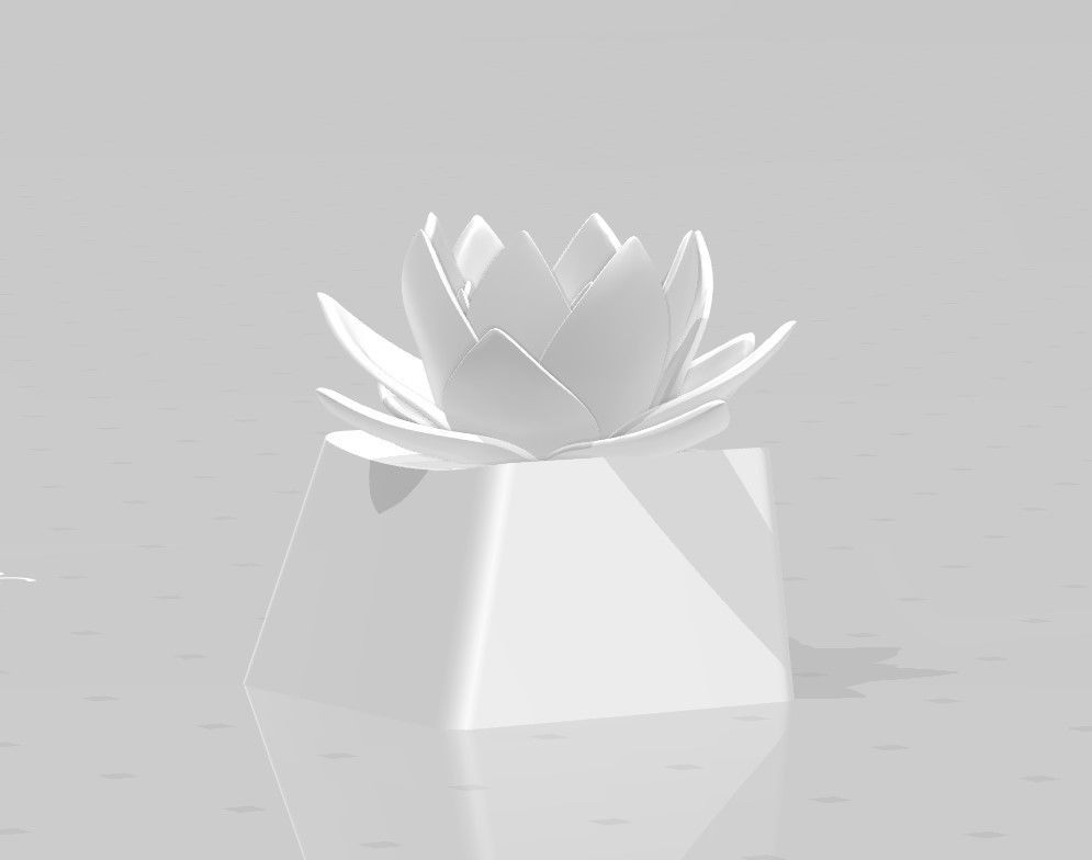3D print Lotus flower 3D model 3D printable | CGTrader
