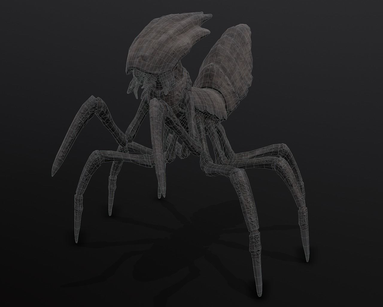 3D model Slicer beetle VR / AR / low-poly | CGTrader