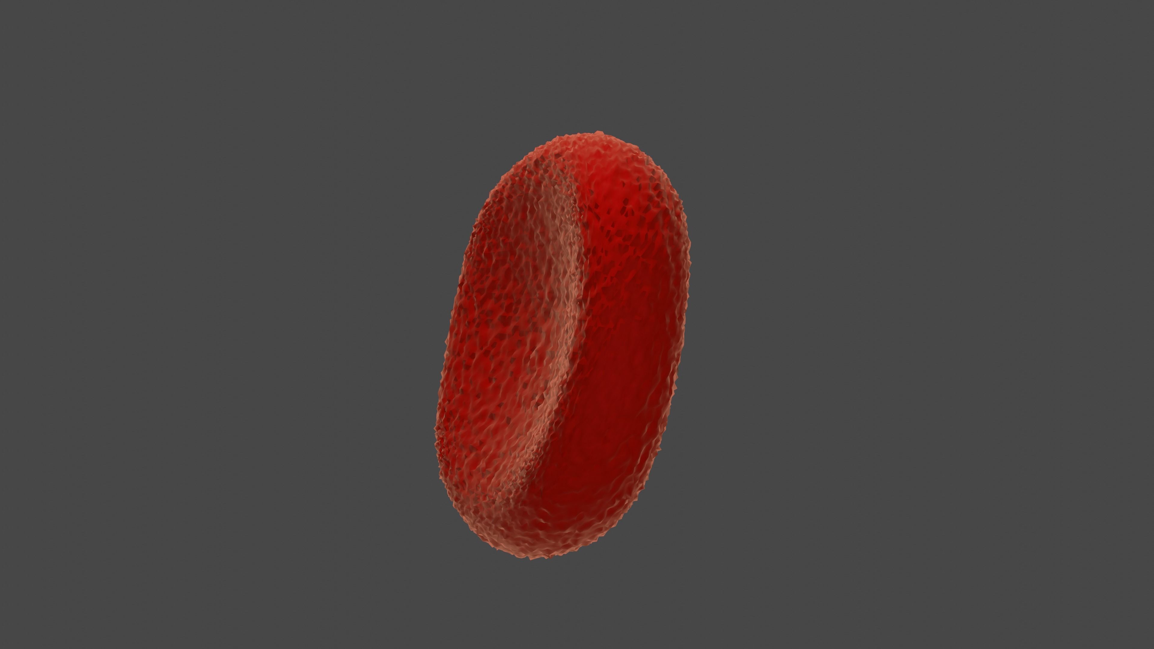 Red Blood Cell 3D model | CGTrader