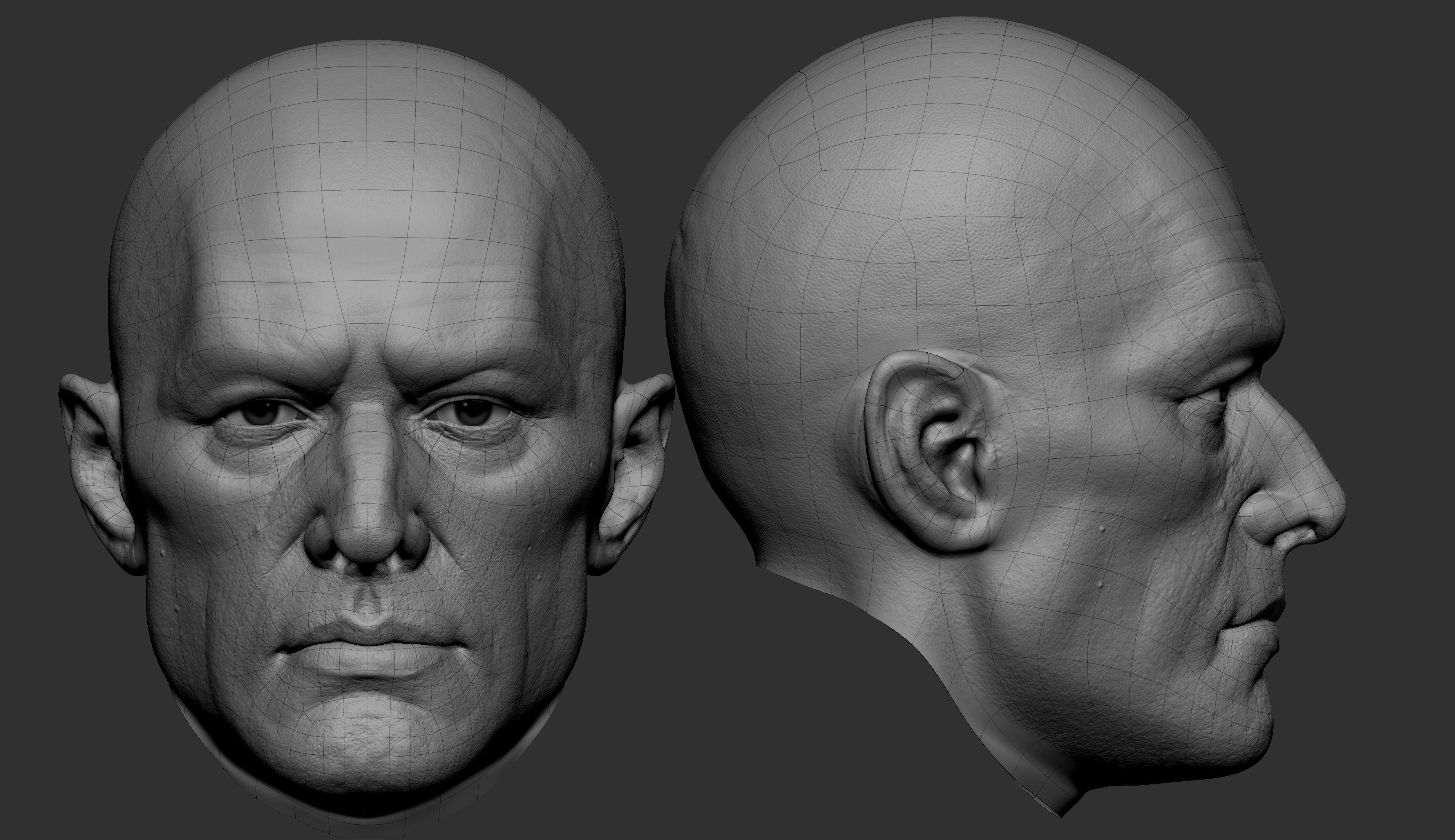 Free 3D model Head free 3D model | CGTrader