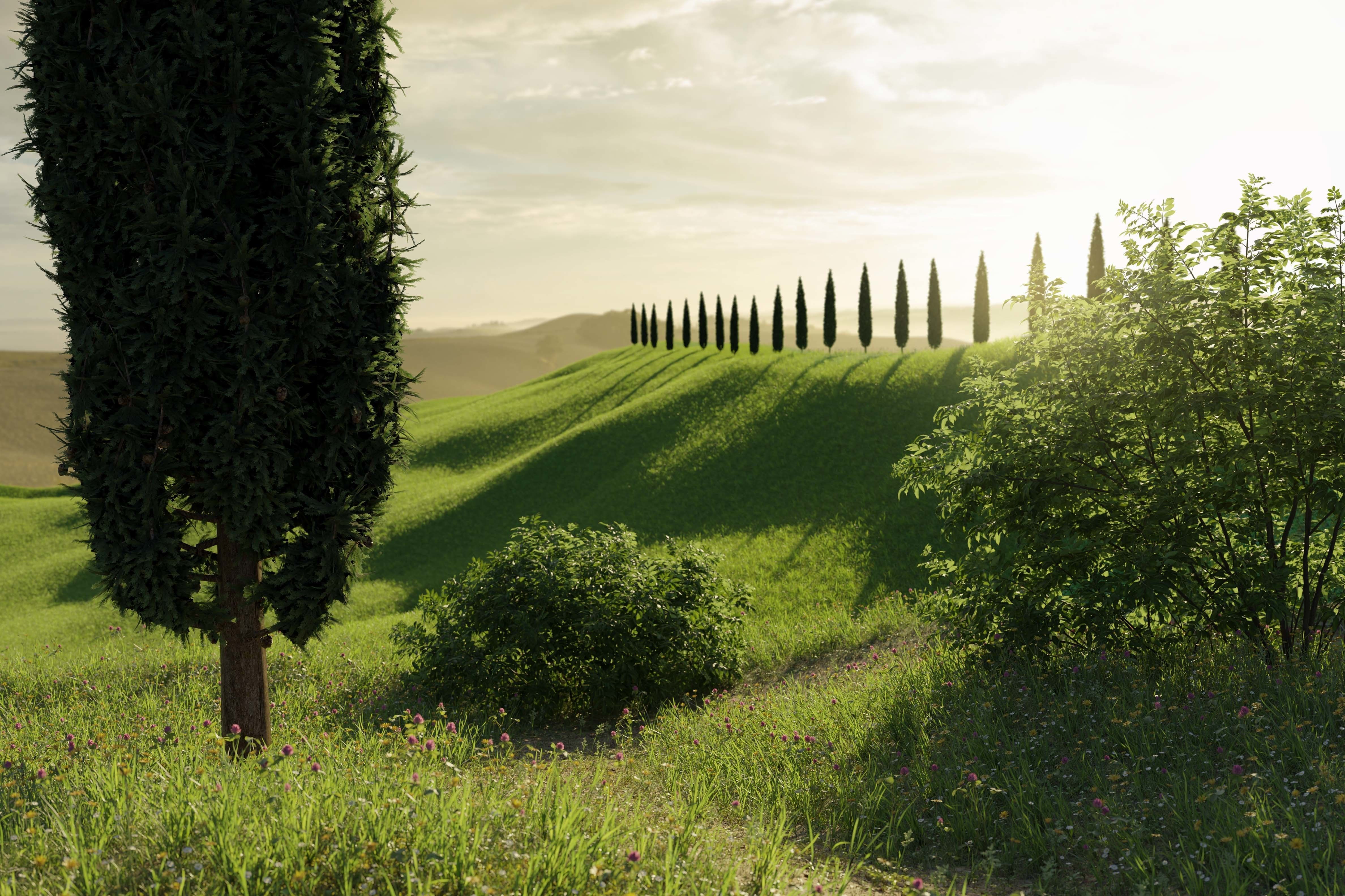 Tuscany cypress tree pack 3D model | CGTrader