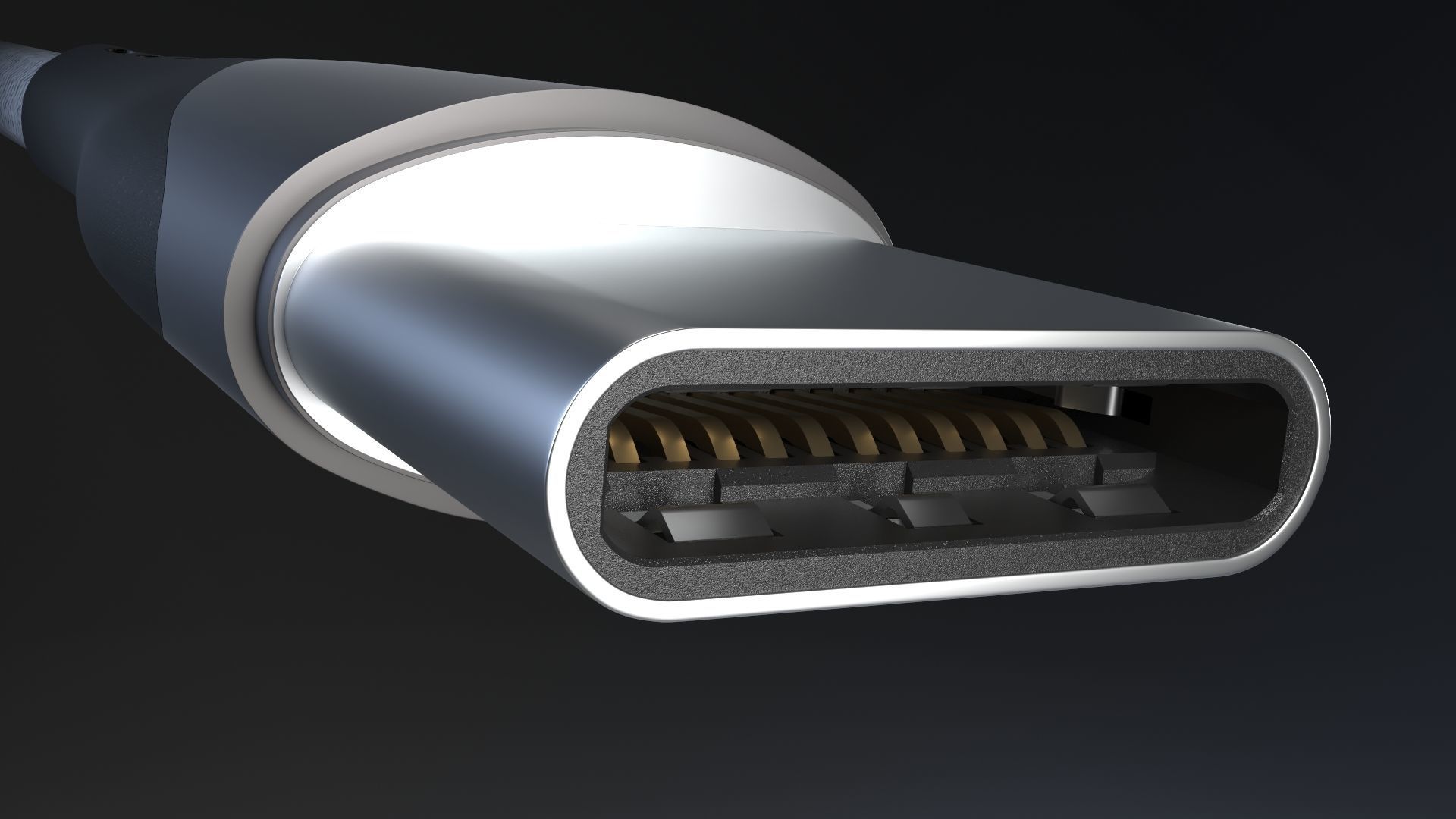 USB Type-C Cable 3D model | CGTrader