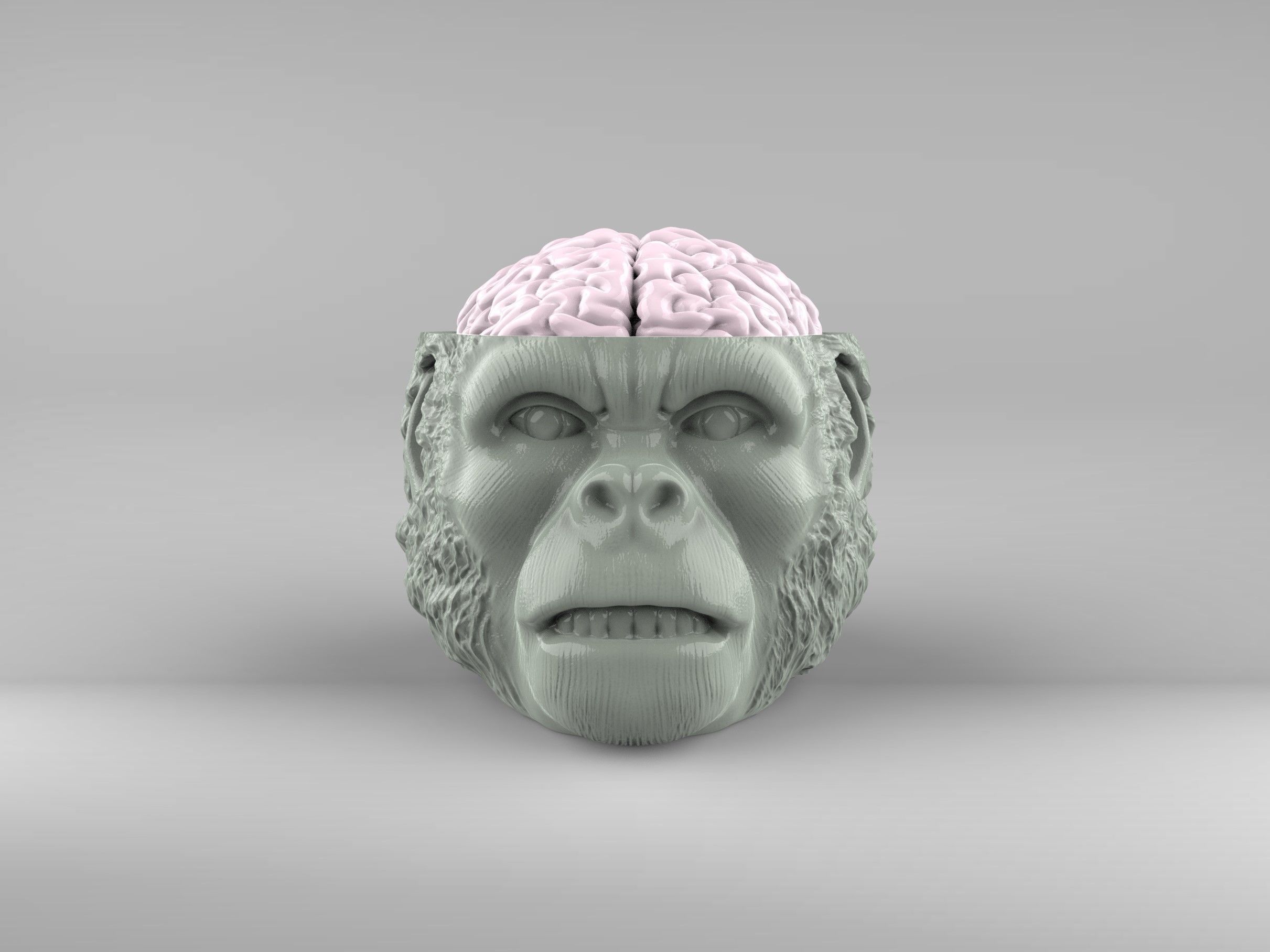 Indiana Jones Temple of Doom Chilled Monkey Brains 3D model 3D ...
