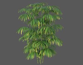 Animated Palm leaf 3D Models | CGTrader