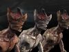 Mutant with open brain free VR / AR / low-poly 3D model animated rigged ...