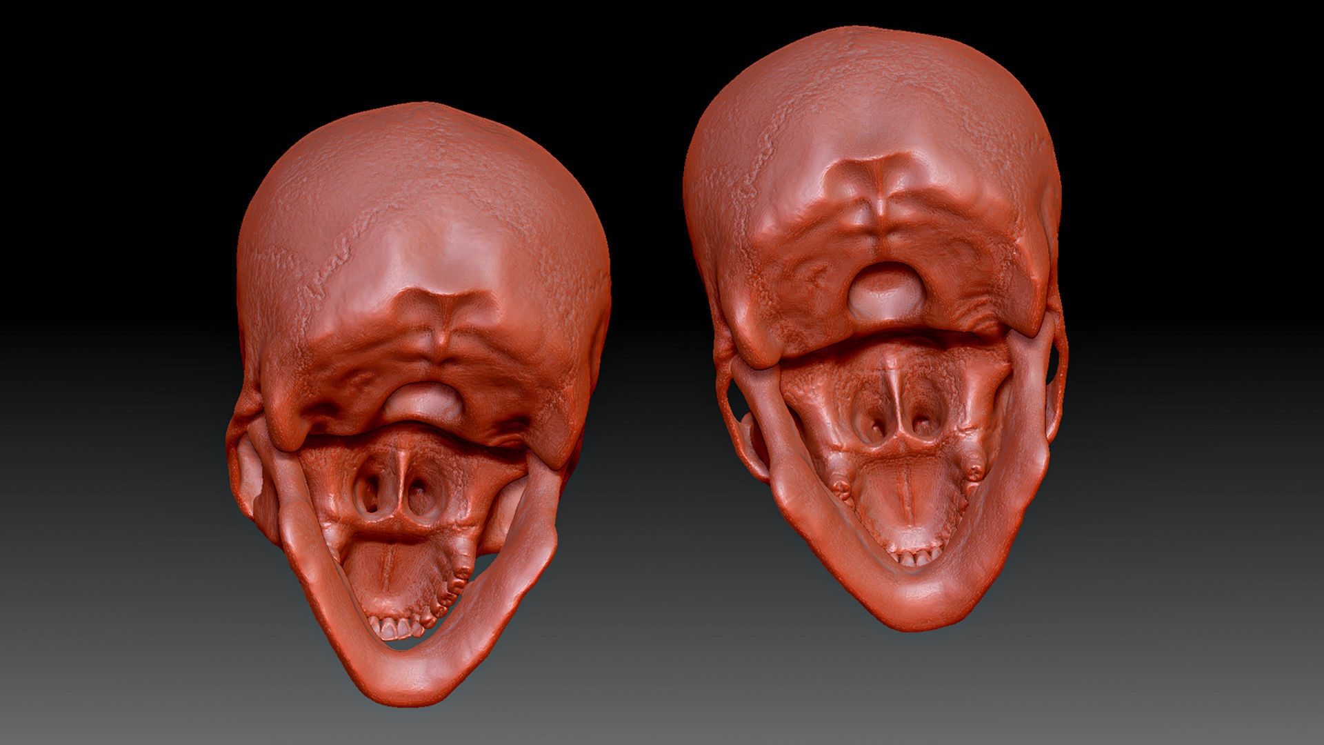 Realistic Human Skull 3D Scanned 3D model 3D printable | CGTrader
