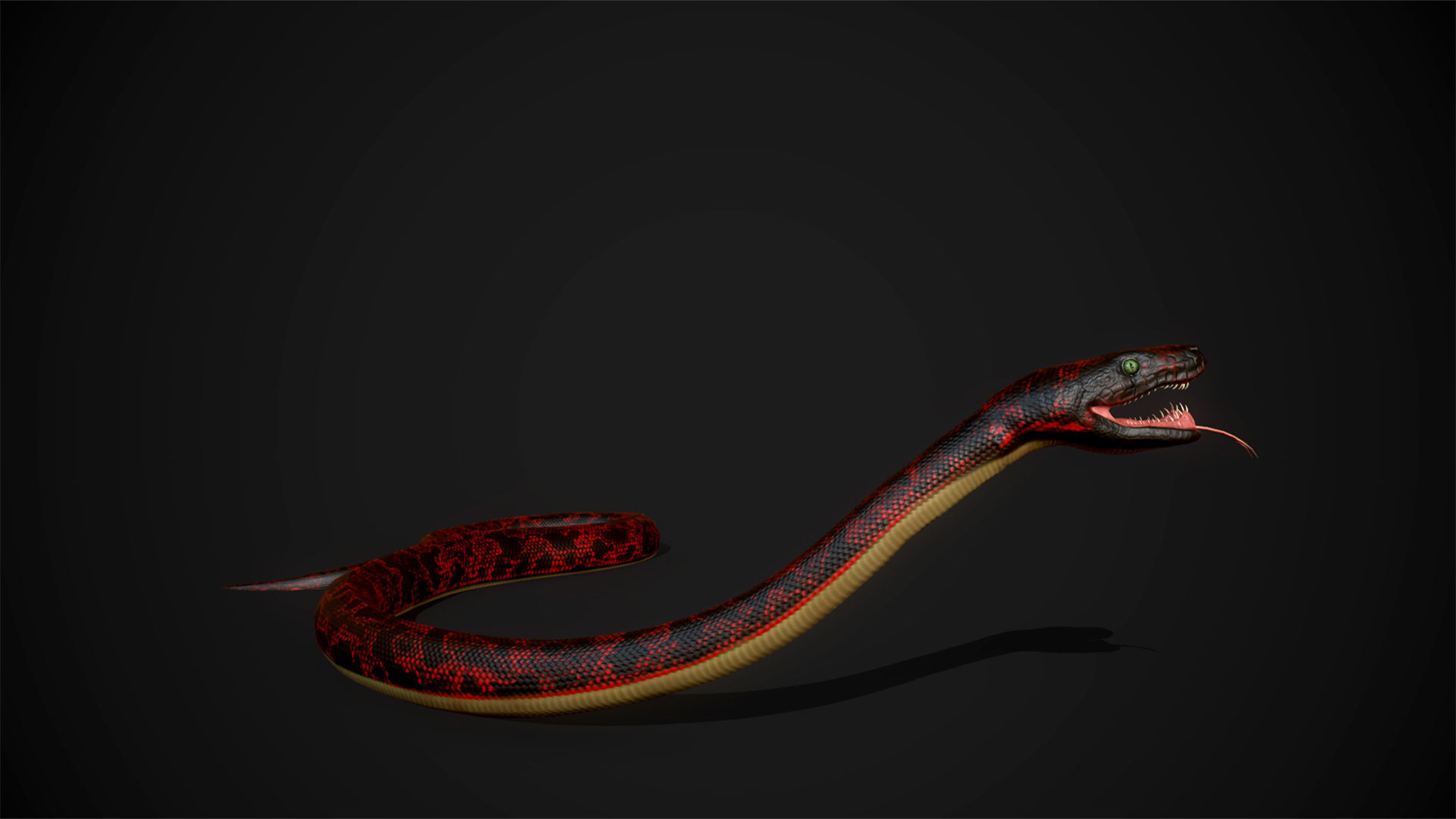3D model Boa - Game Ready three snakes VR / AR / low-poly rigged ...