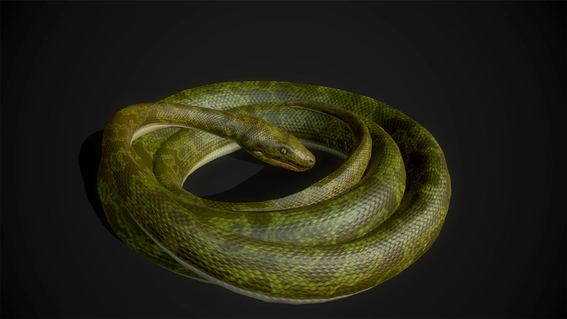 3D model Boa - Game Ready three snakes VR / AR / low-poly rigged ...