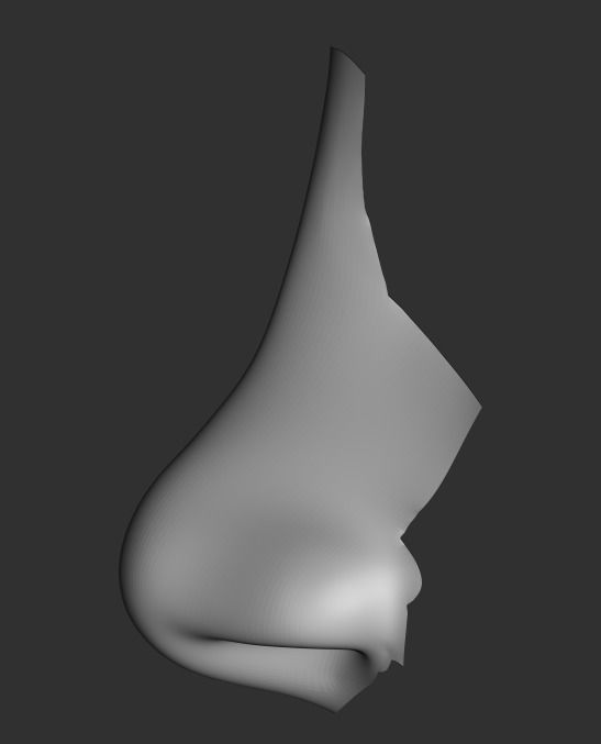 Female Nose Pack 3D model | CGTrader