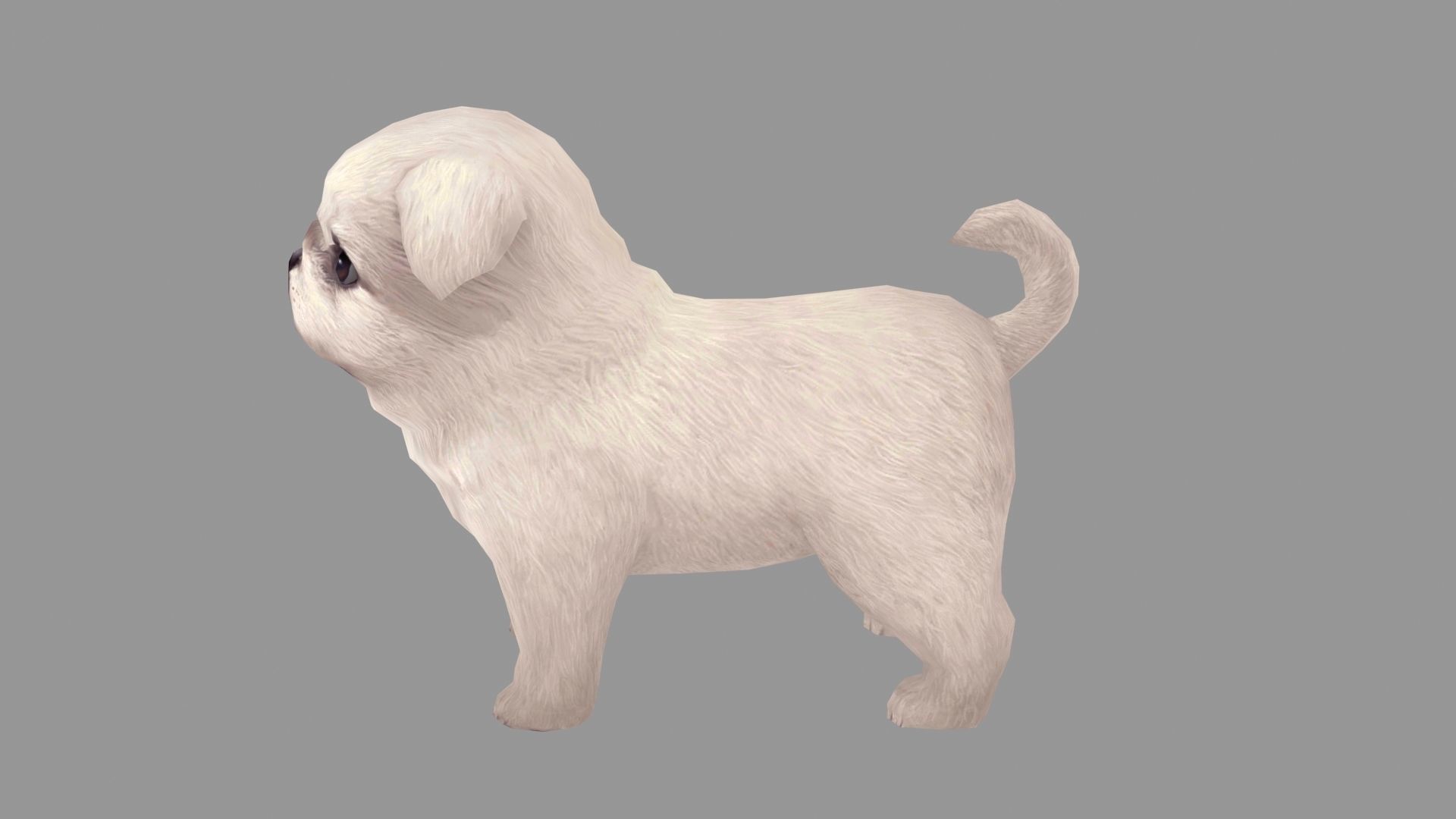 3D model Cartoon pet puppy - White Paco - baby dog VR / AR / low-poly ...