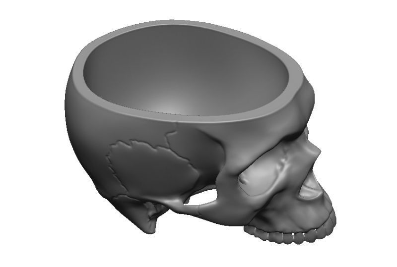 Skull box free 3D model 3D printable | CGTrader