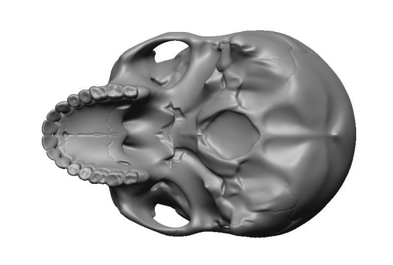 Skull box free 3D model 3D printable | CGTrader