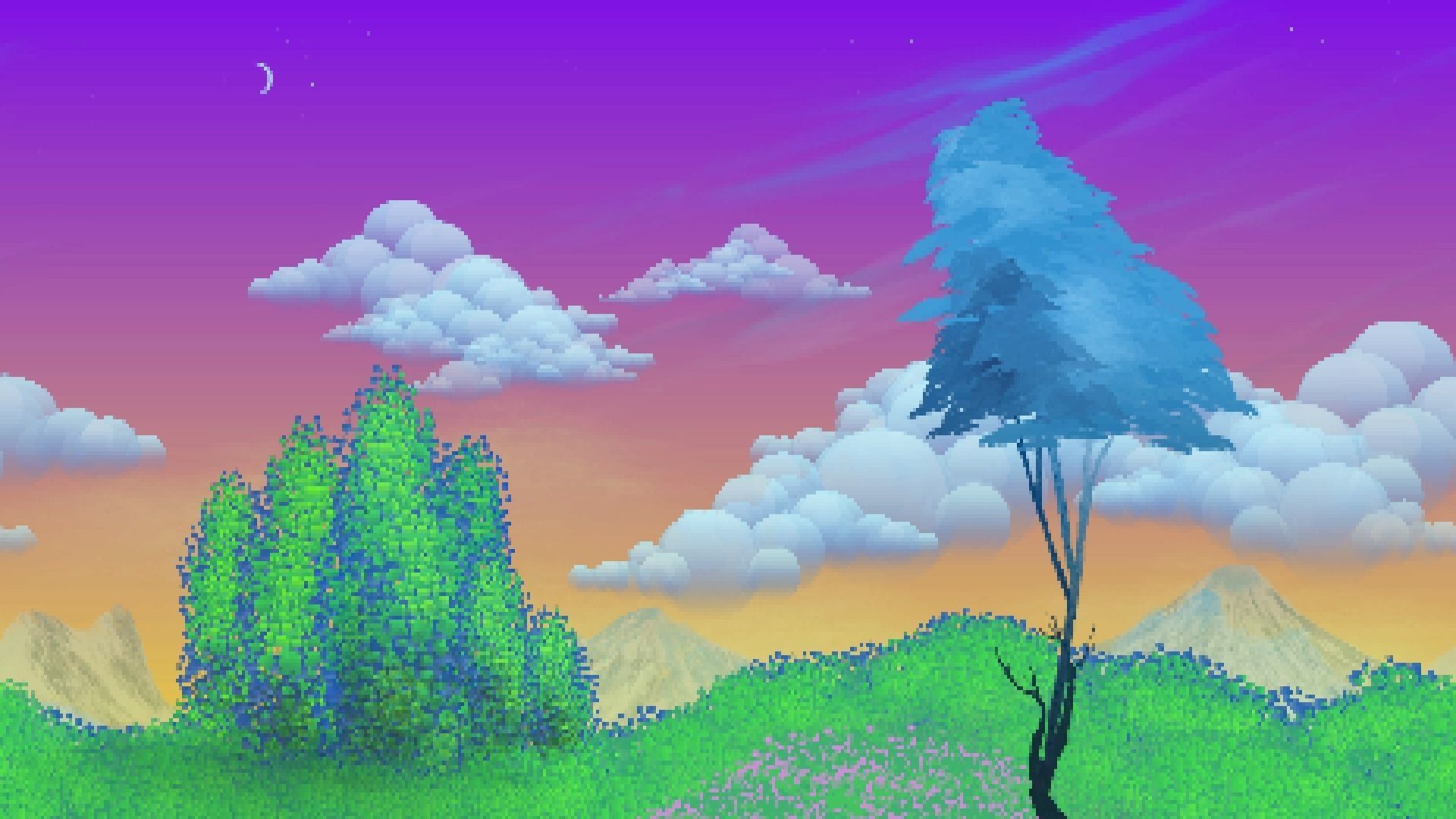 Backdrop Designer V1-34 standalone PC app 3D model | CGTrader