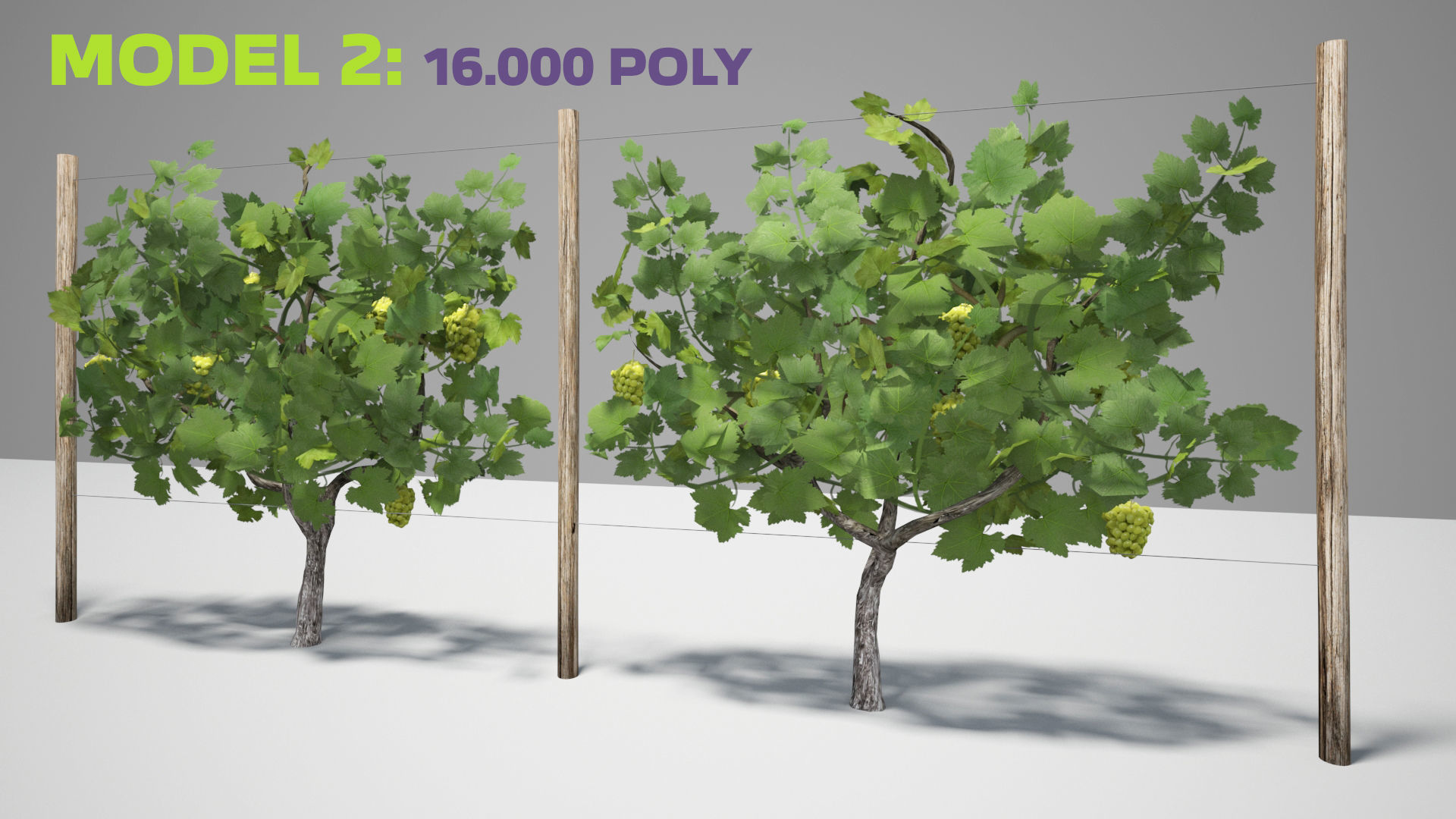 3D model Wine Plant Vineyard Grapes Game Ready VR / AR / low-poly ...