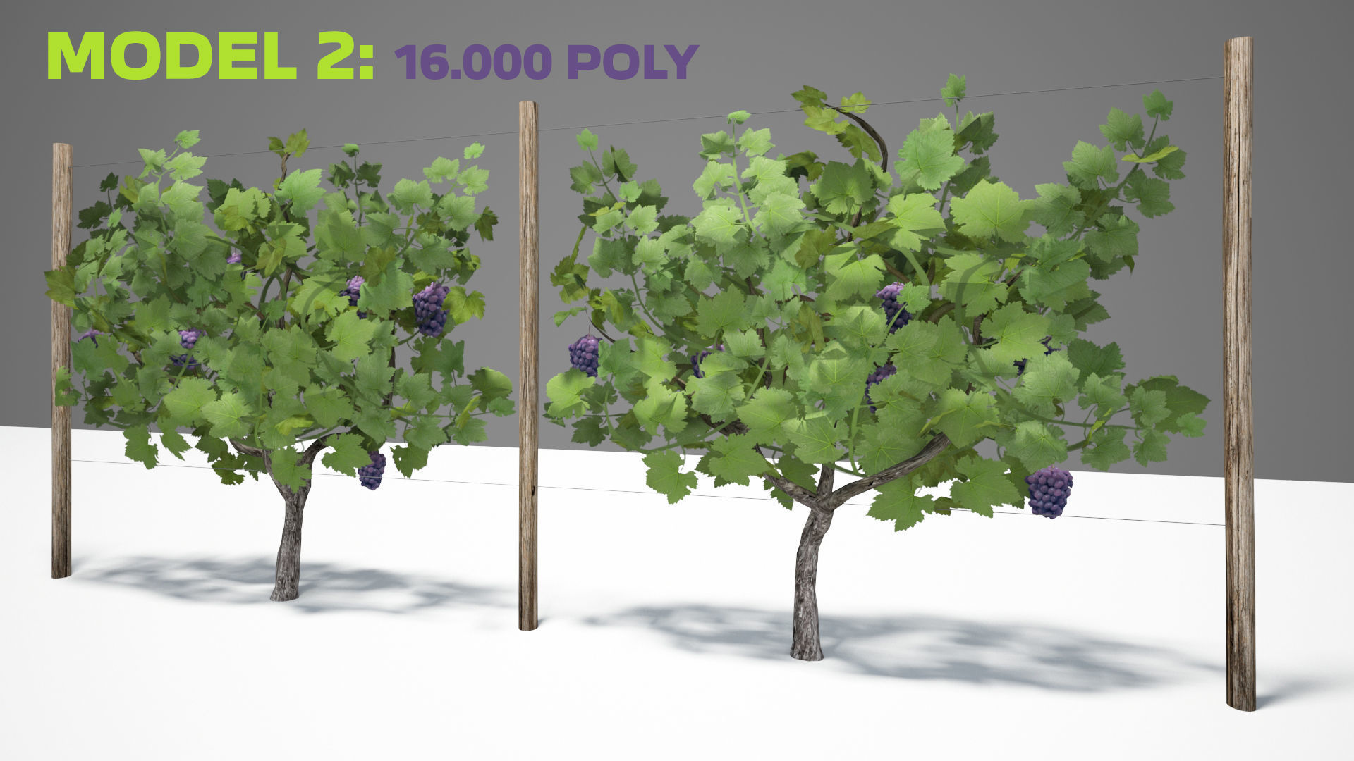 3D model Wine Plant Vineyard Grapes Game Ready VR / AR / low-poly ...