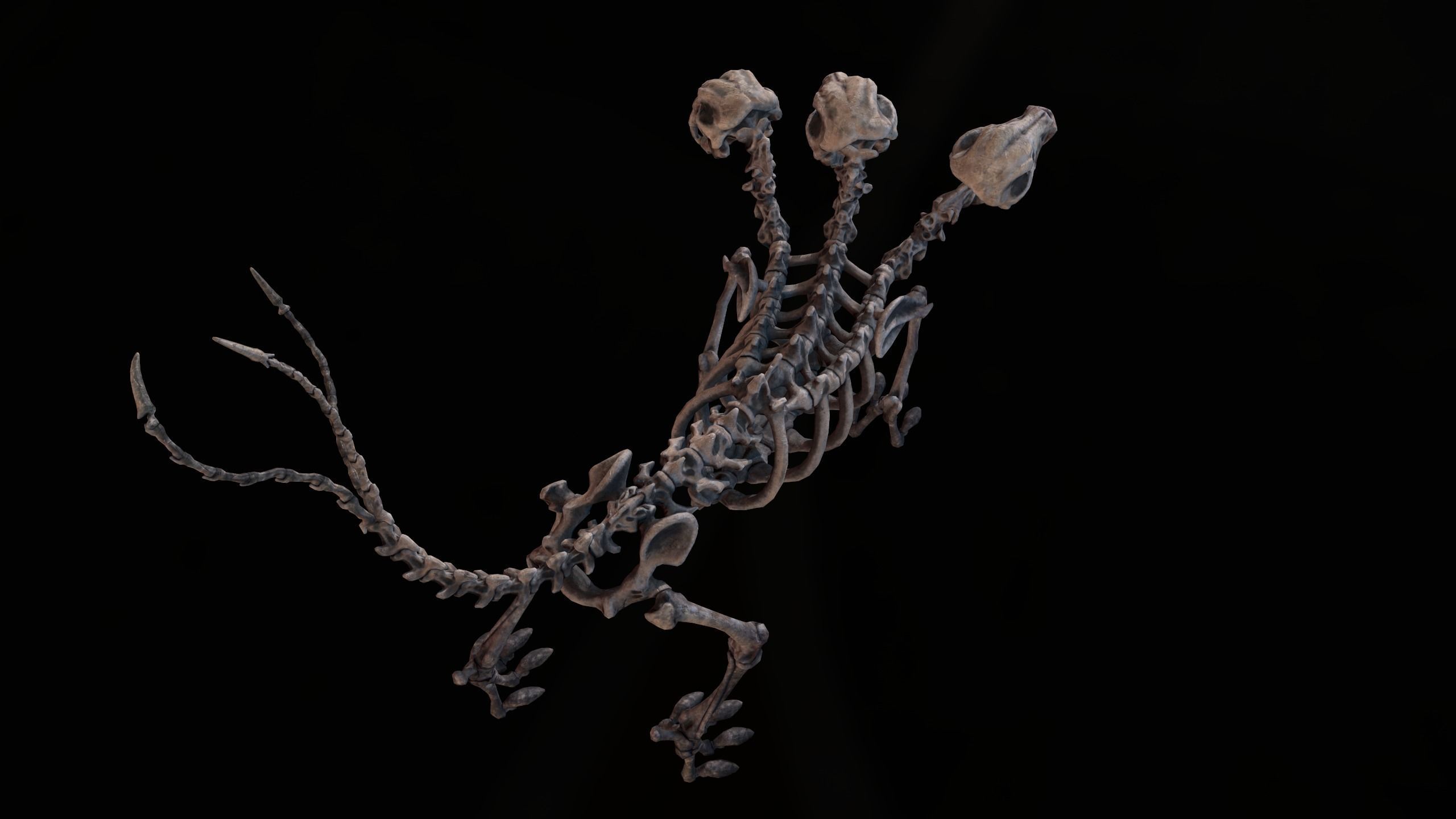 3D model Cerberus skeleton VR / AR / low-poly | CGTrader