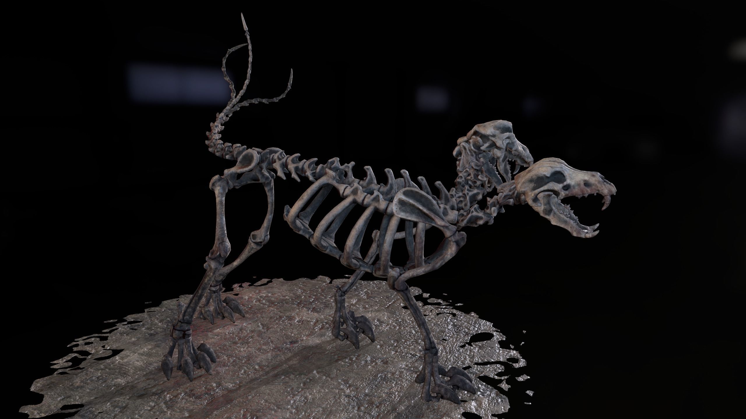 3D model Cerberus skeleton VR / AR / low-poly | CGTrader