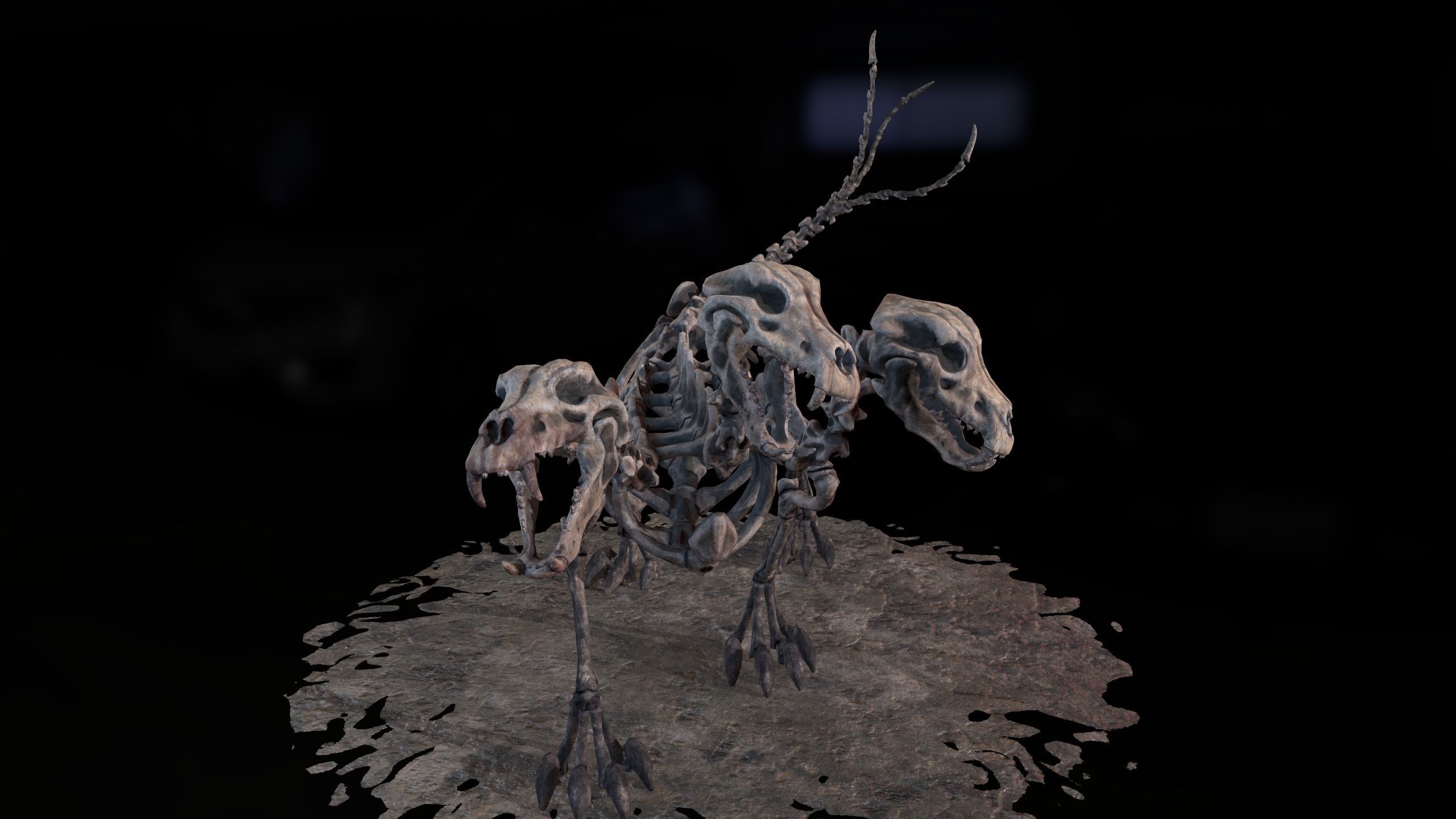 3D model Cerberus skeleton VR / AR / low-poly | CGTrader
