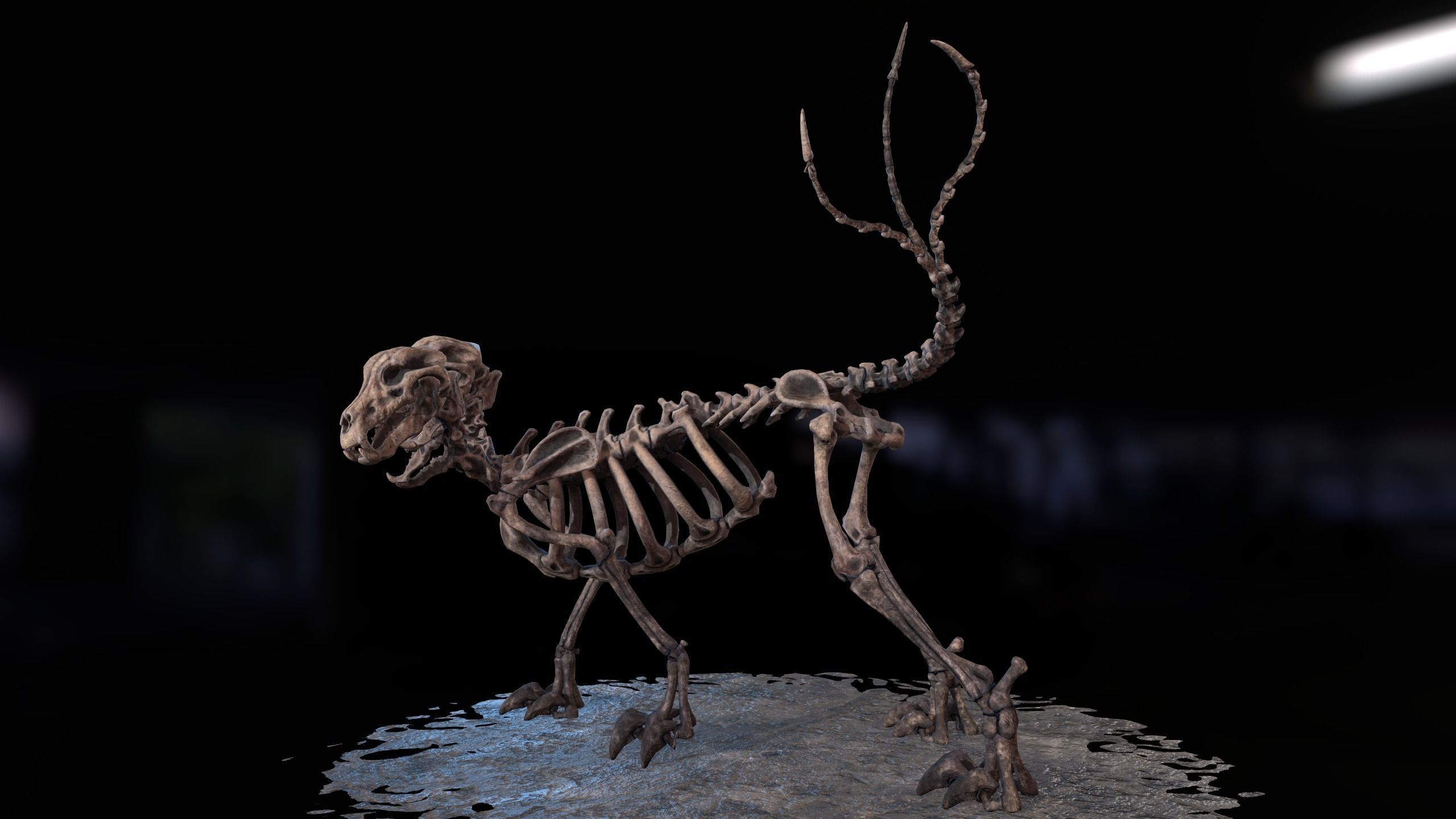3D model Cerberus skeleton VR / AR / low-poly | CGTrader